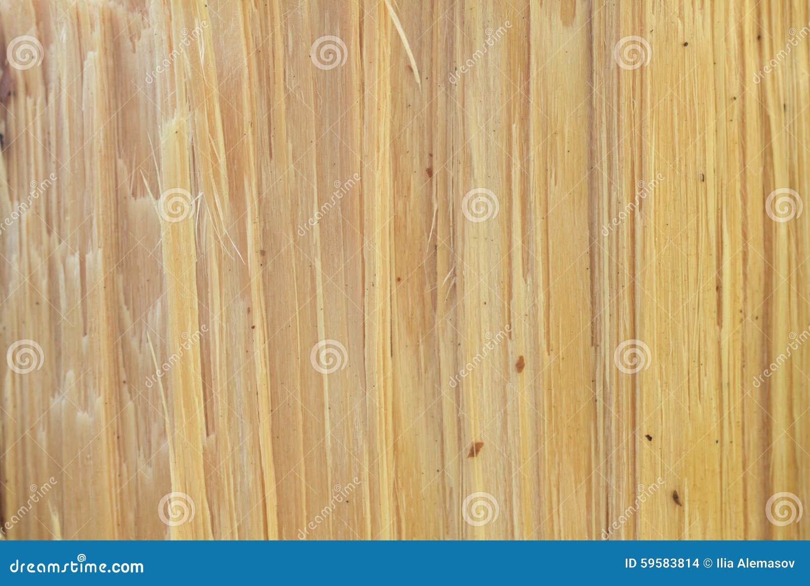 Pine Break Wood Texture Stock Photography | CartoonDealer.com #59583608