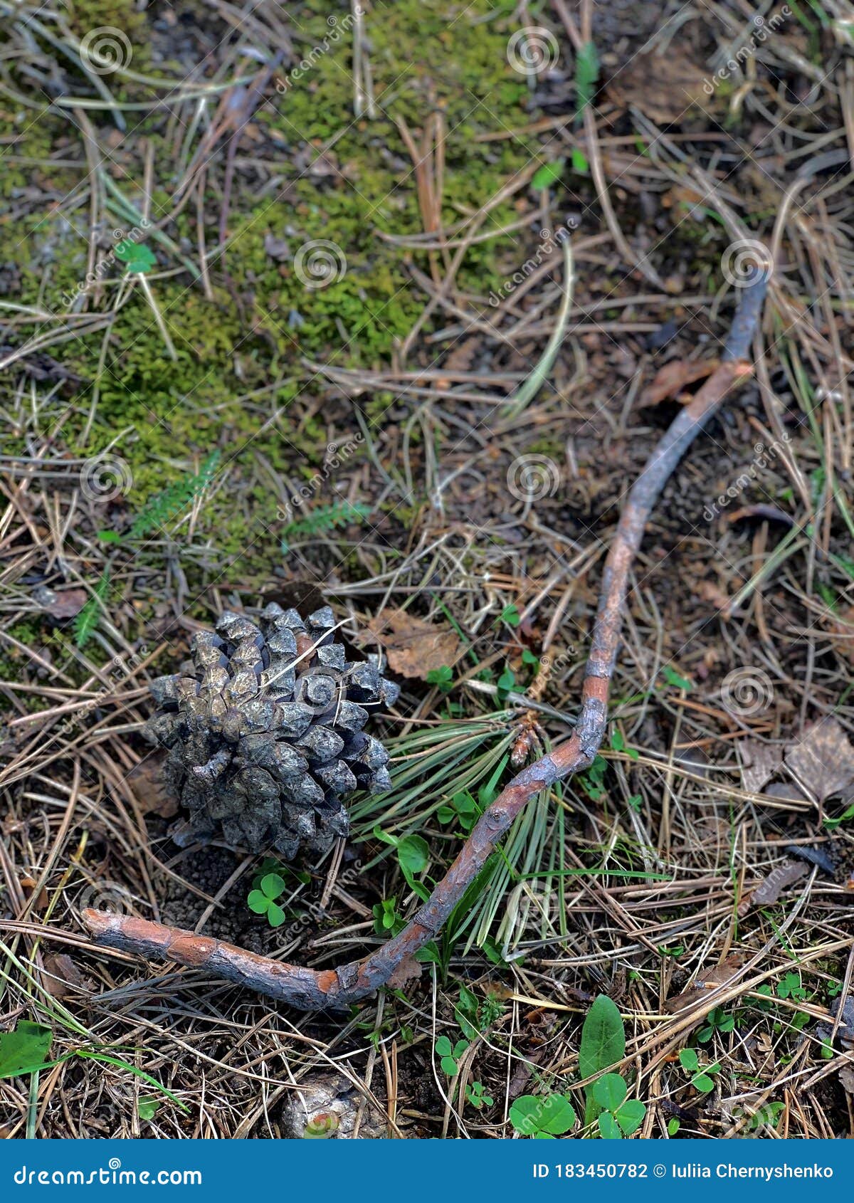 879 Bumps Needles Photos - Free & Royalty-Free Stock Photos from Dreamstime