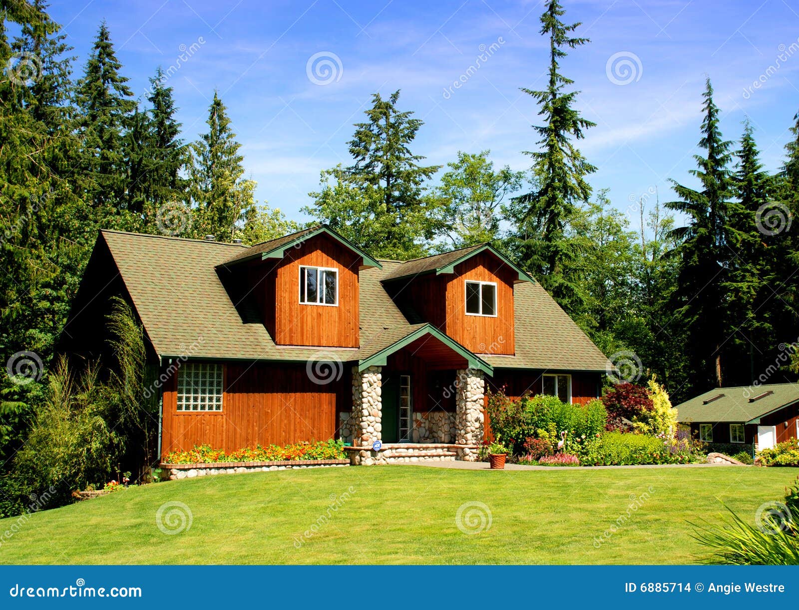 Pine Cabin in the woods stock photo. Image of building - 6885714