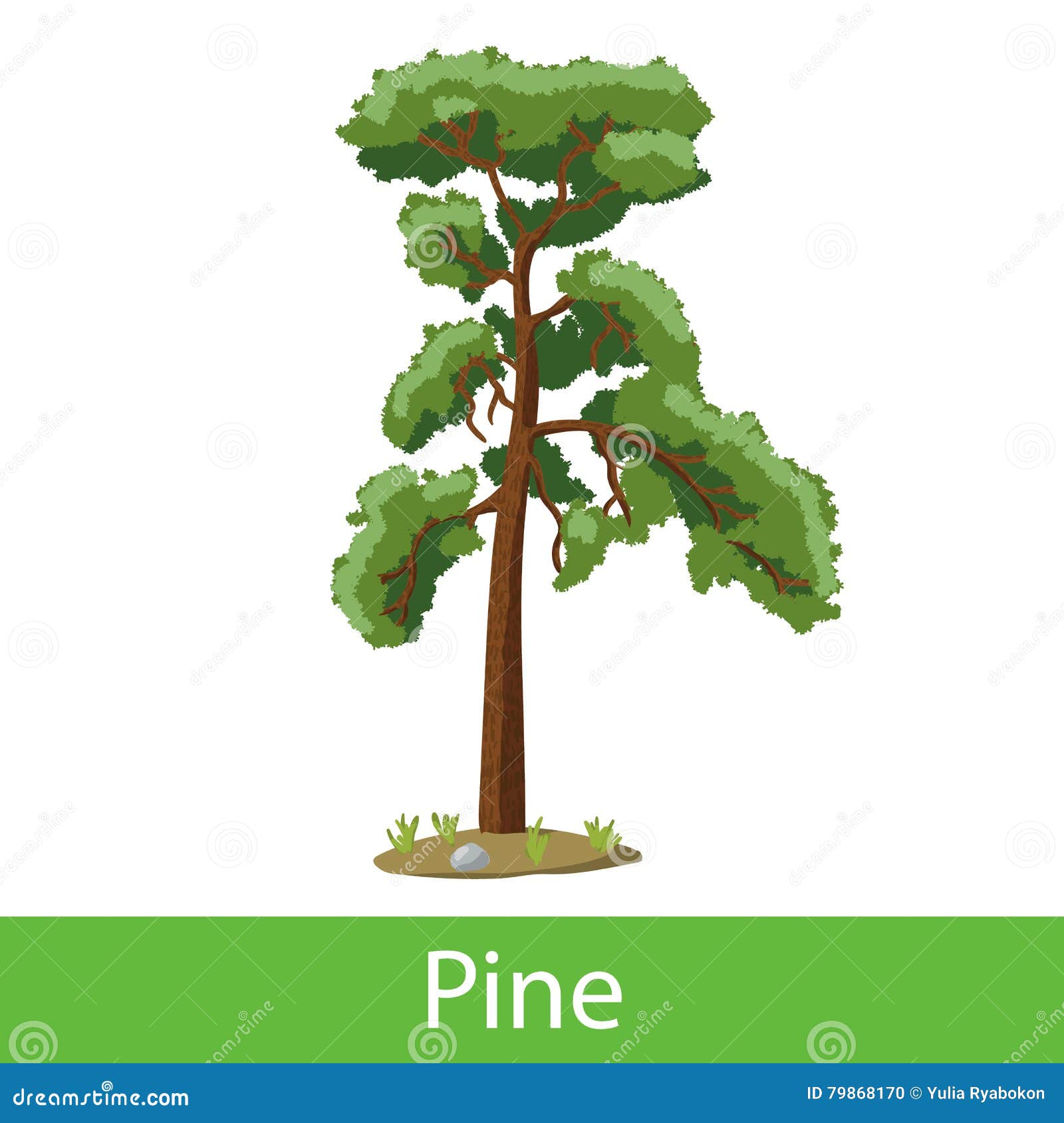 Pine cartoon tree stock vector. Illustration of element - 79868170