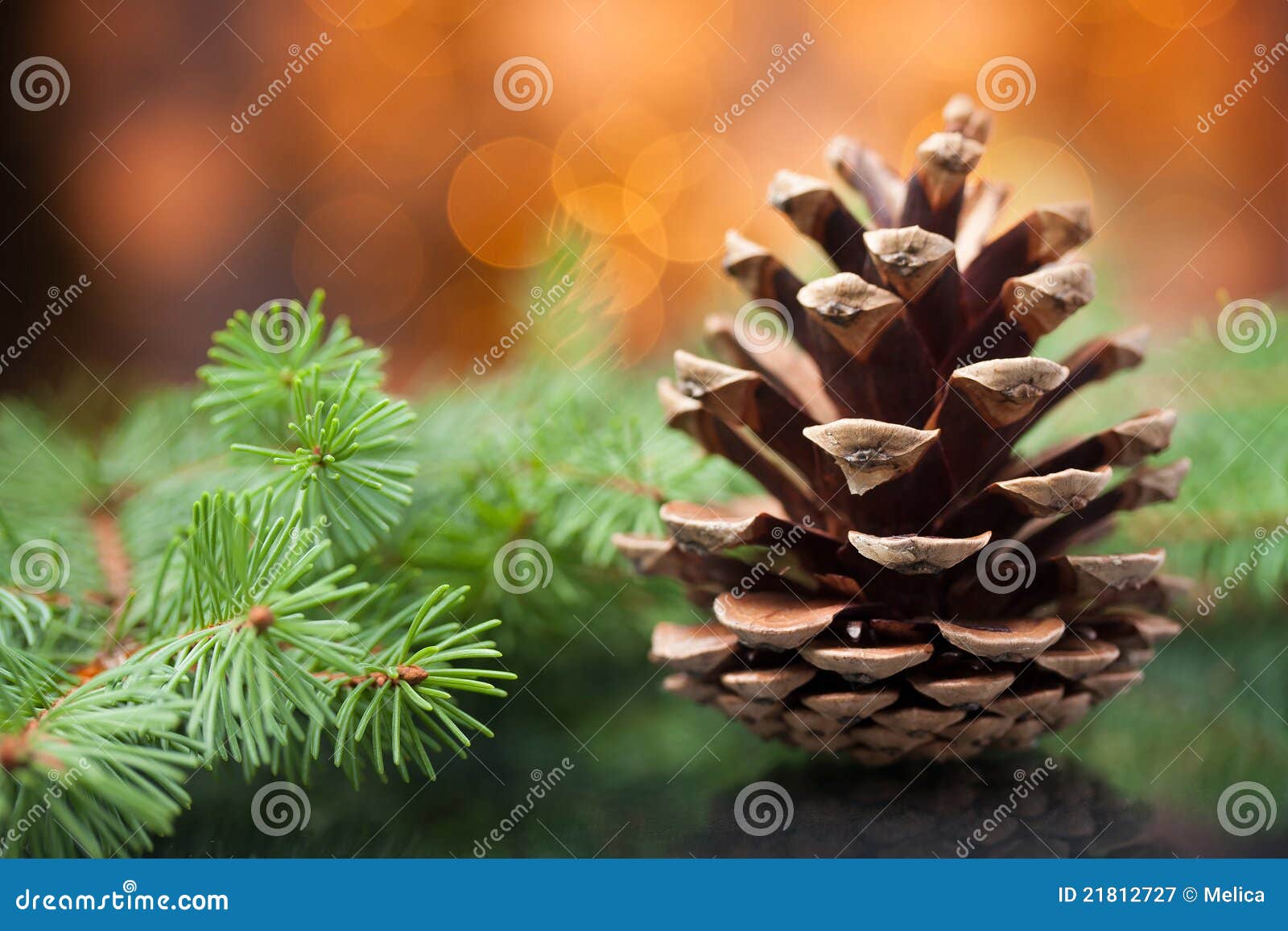 Pine cone stock image. Image of decoration, detail, culture - 21812727