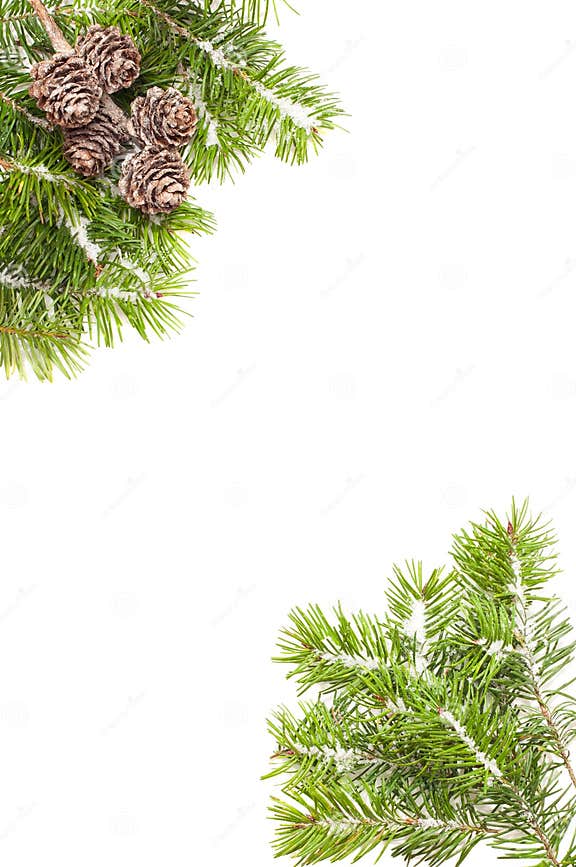 Pine Cone Border stock photo. Image of xmas, holiday - 21837730
