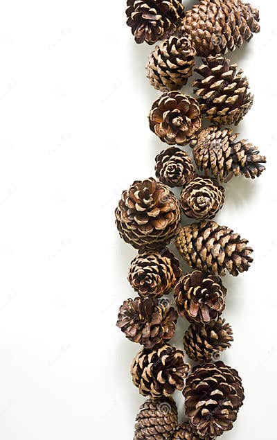Pine Cone Border stock photo. Image of pinecone, nature - 22576076