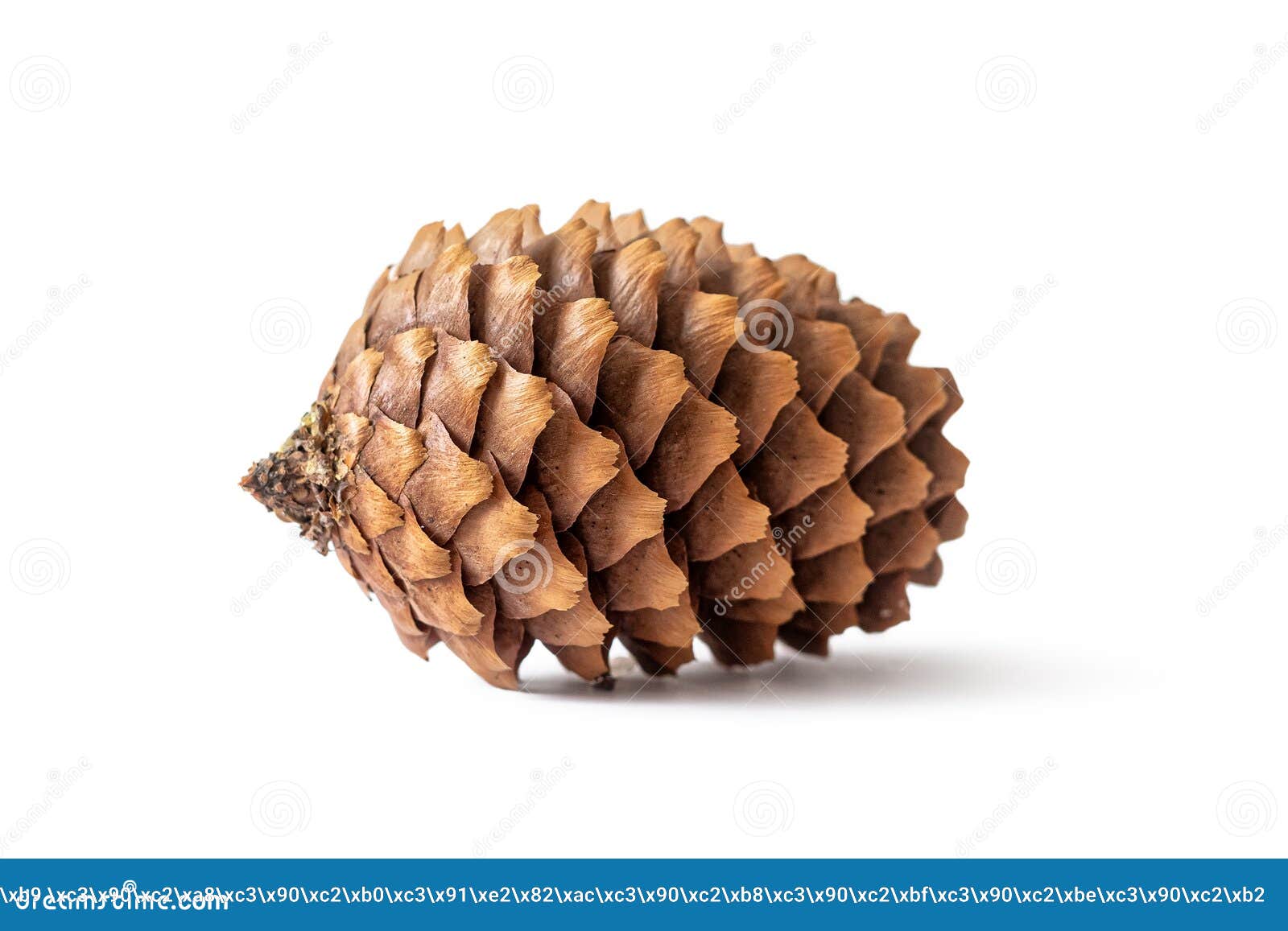 Brown Scales Macro Background, Embossed Under The Skin Of A Crocodile ...