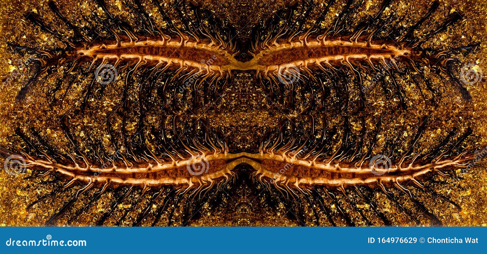 Pine Cone Casting Epoxy Resin Stabilizing on Art Black Background Stock ...