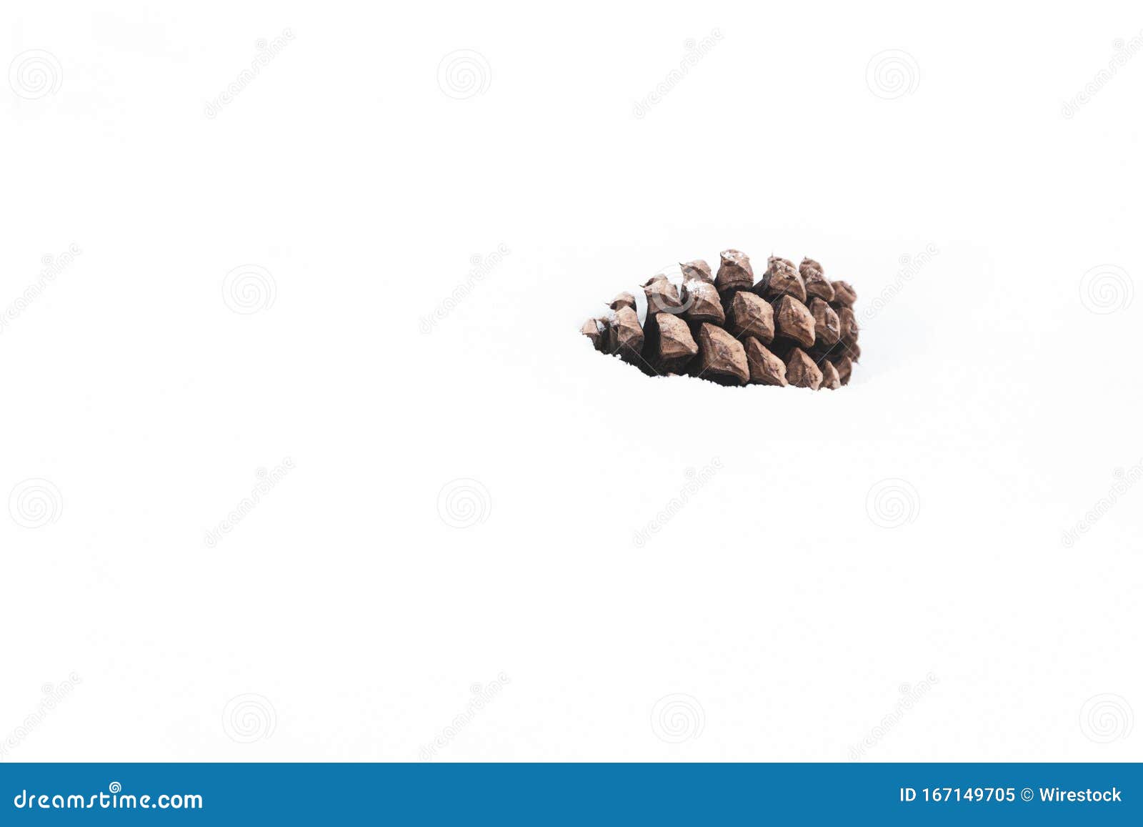 Pine Cone Falling in Winter Snow Stock Image - Image of card, light ...