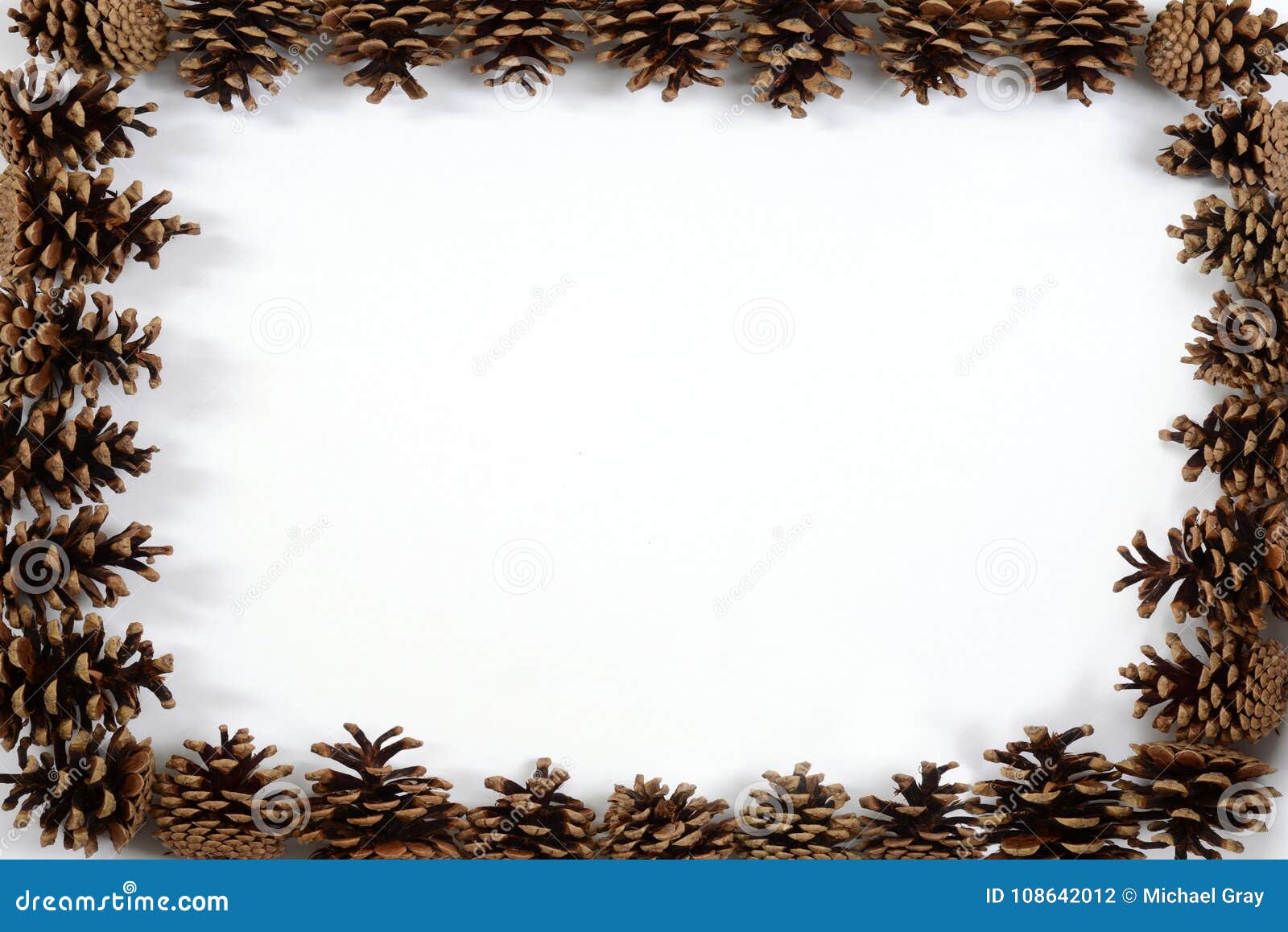 Pine cone frame stock photo. Image of abstract, objects - 108642012