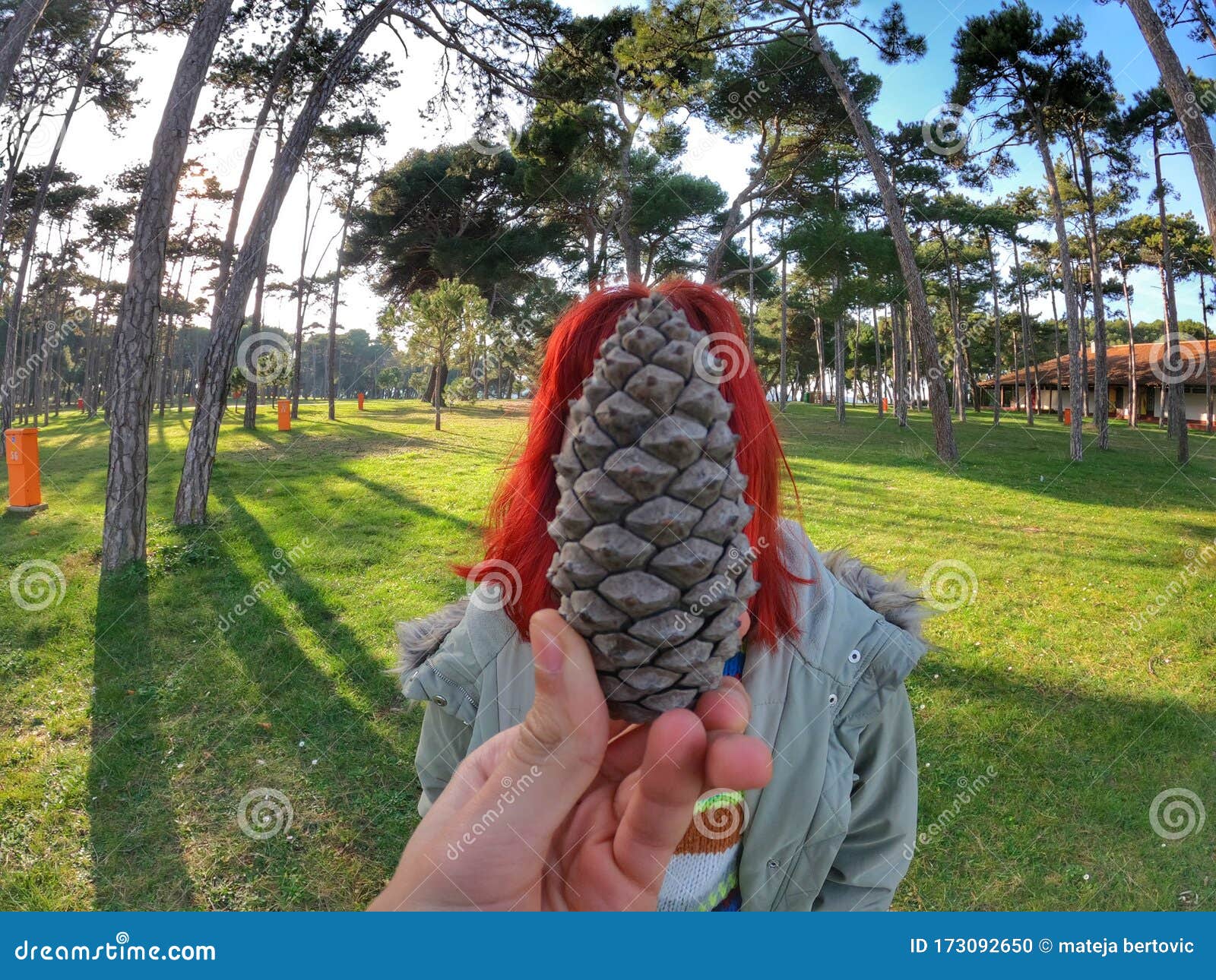Pine cone head girl stock photo. Image of forest, green - 173092650