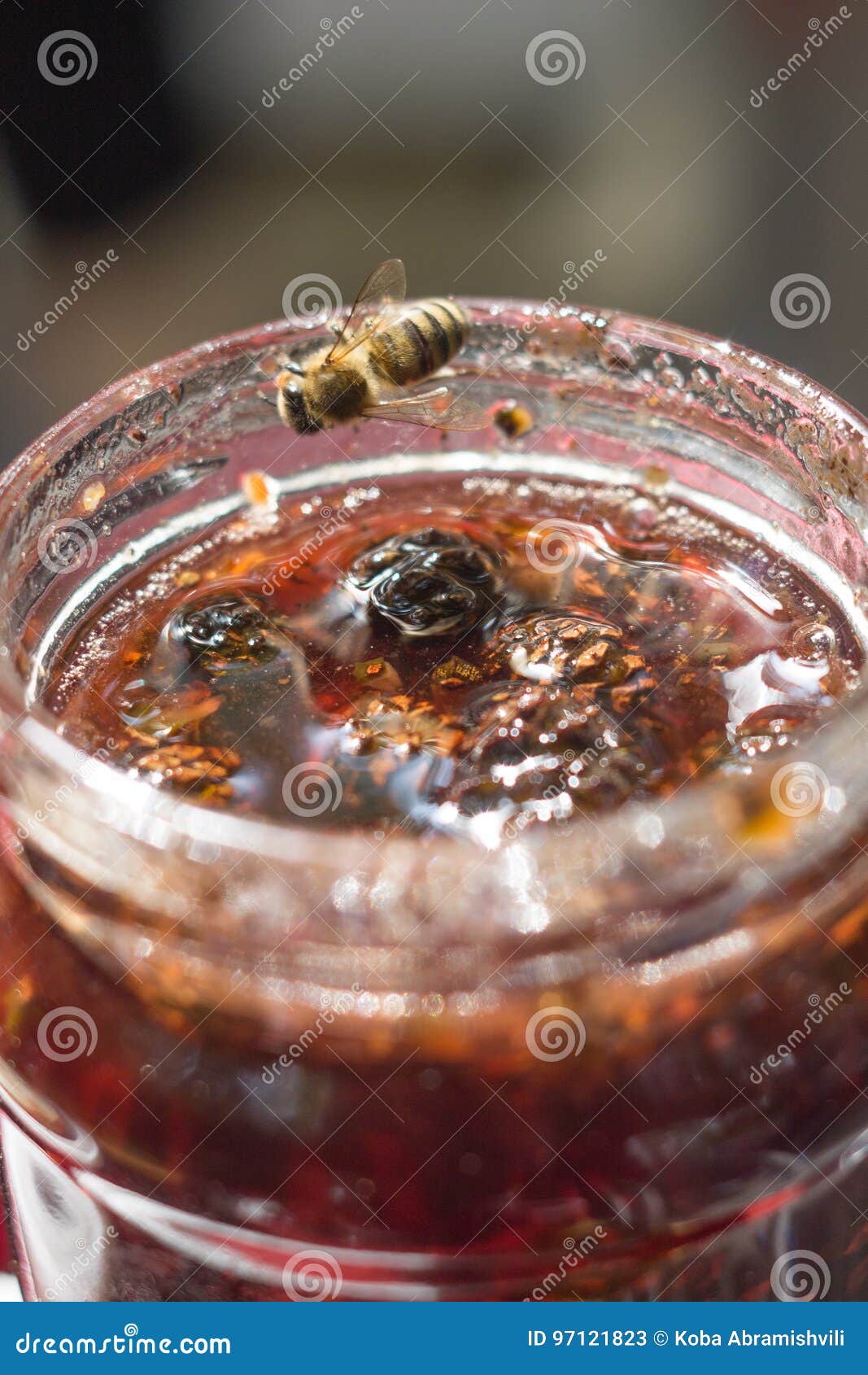 Pine cone jam stock image. Image of cone, insect, busy - 97121823