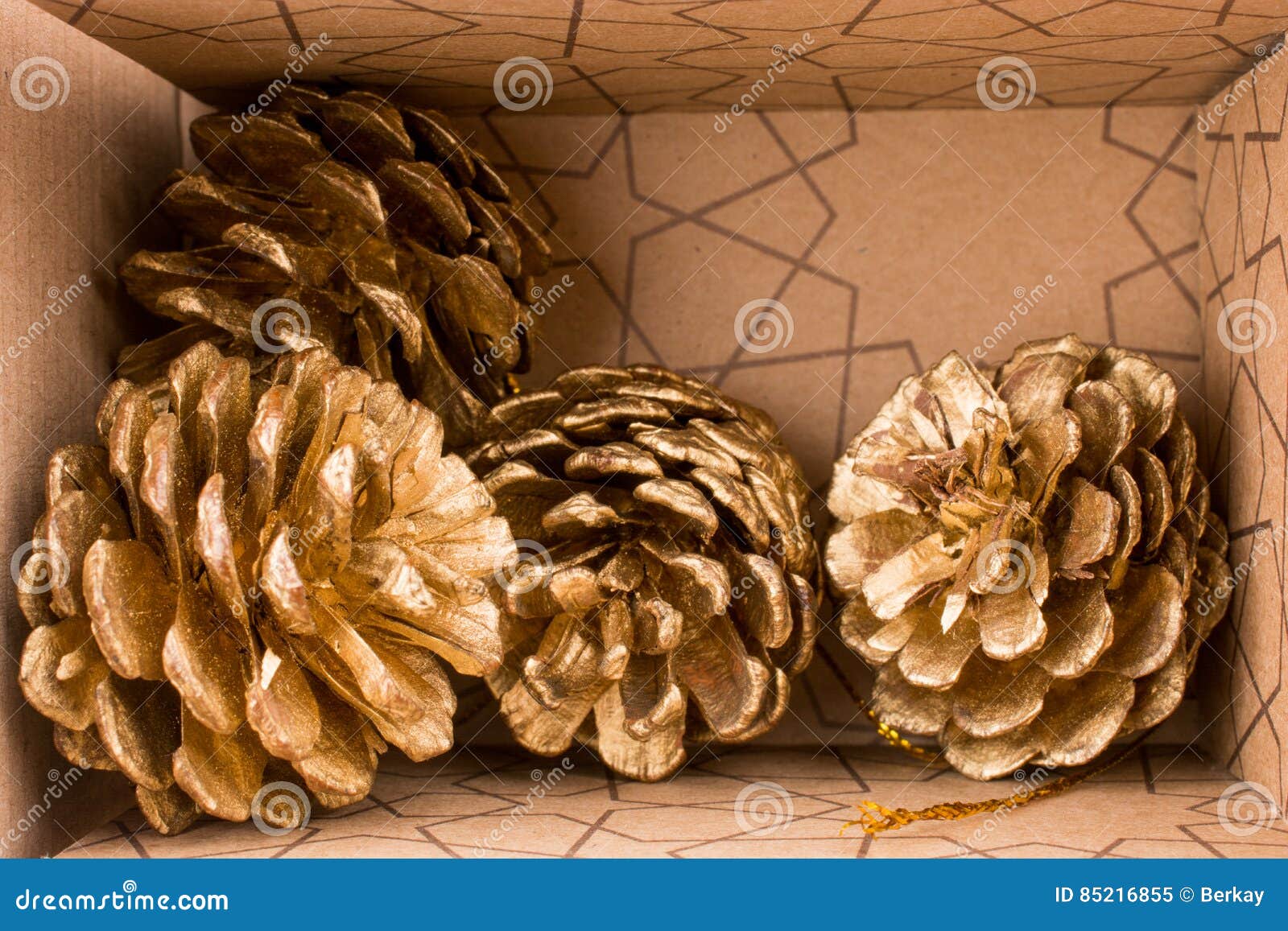 Pine Cone Placed in Cardboard Box Stock Image - Image of wood, forest ...