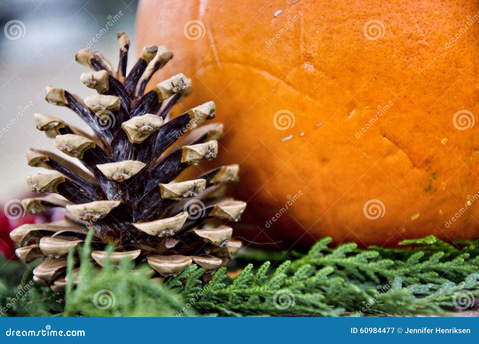 Pine Cone and Pumpkin stock image. Image of fall, orange - 60984477