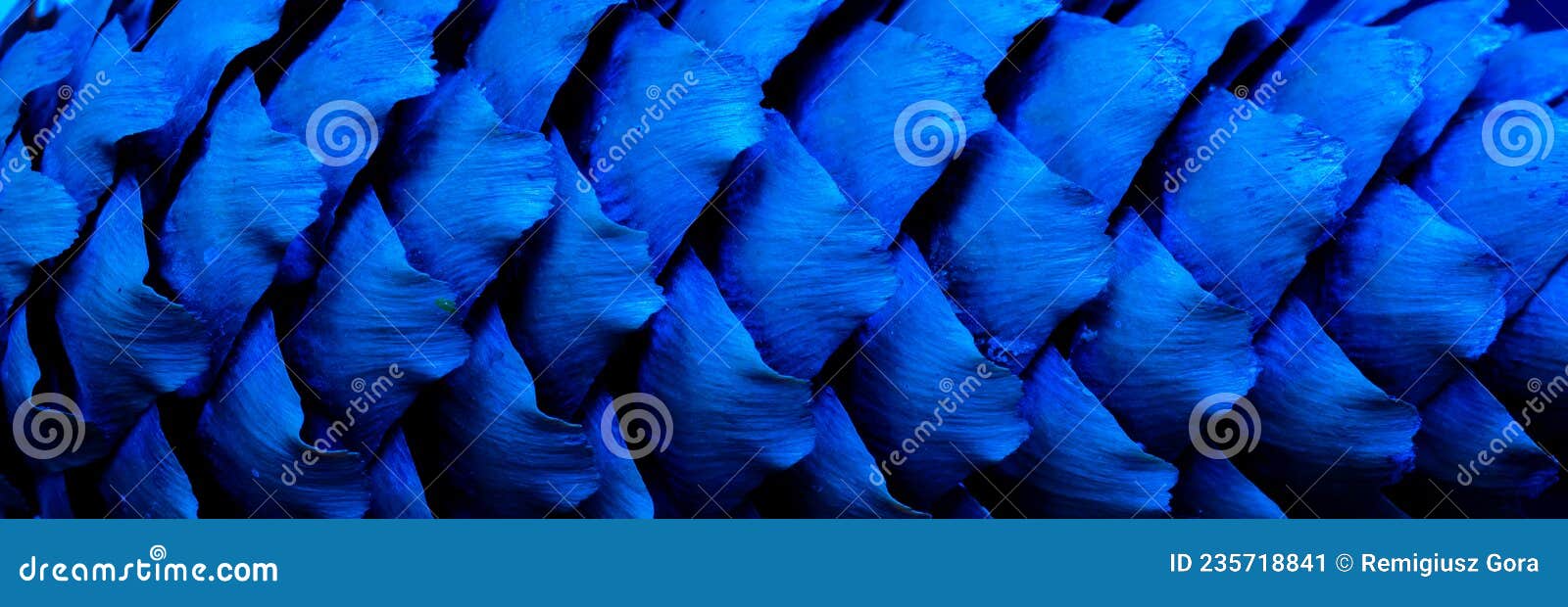 Pine Cone Structure Macro Photo Stock Image - Image of pine, sample ...