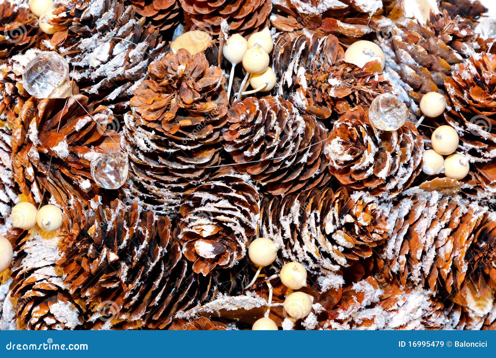 Pine cone texture stock image. Image of background, wooden - 16995479