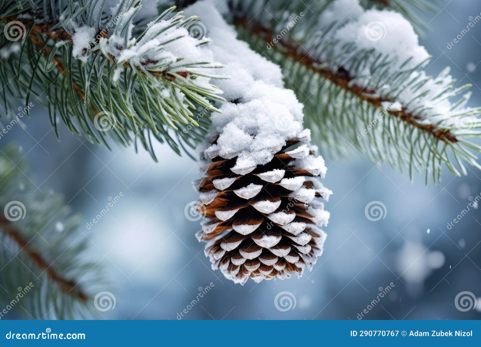 A Pine Cone on a Tree Branch Stock Illustration - Illustration of ...