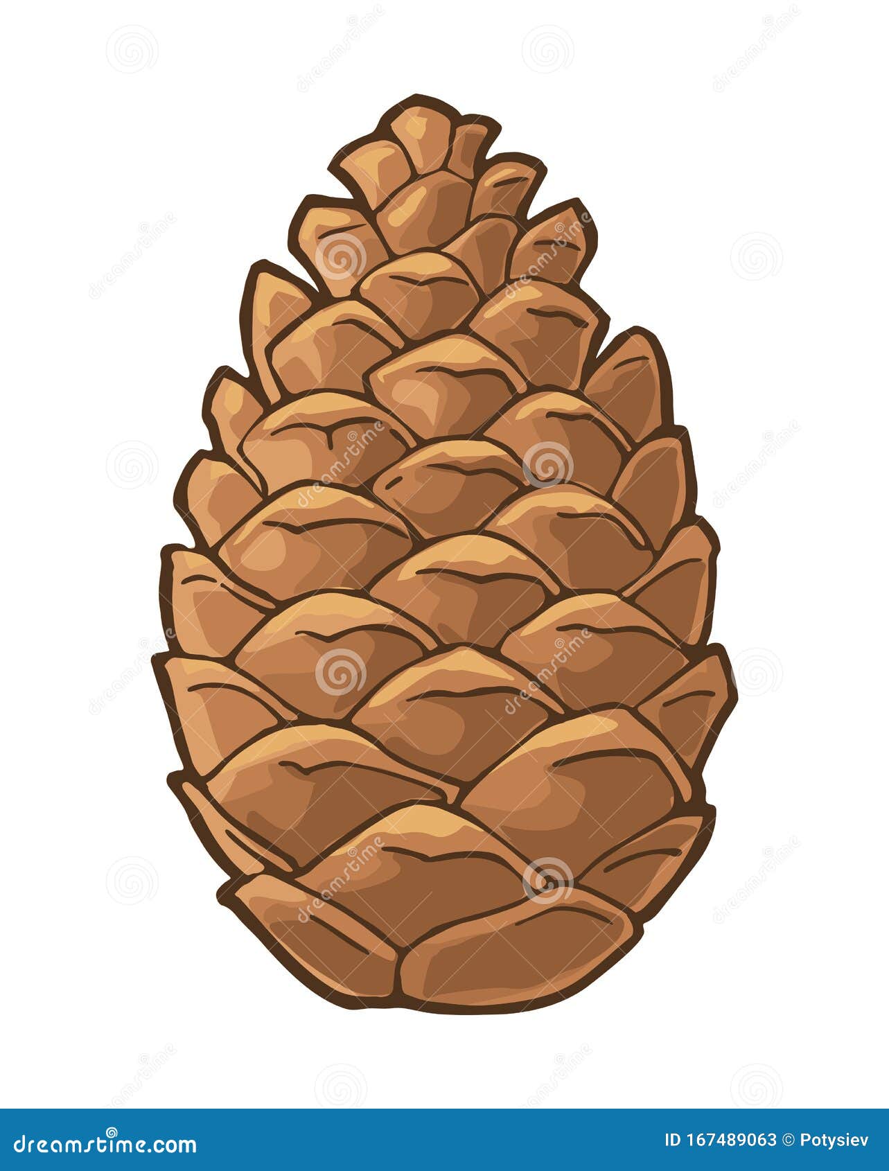 Pine Cone. Vector Vintage Color Flat Illustration Isolated on White ... Pine Cone. Vector Vintage Color Flat Illustration Isolated on White ...
