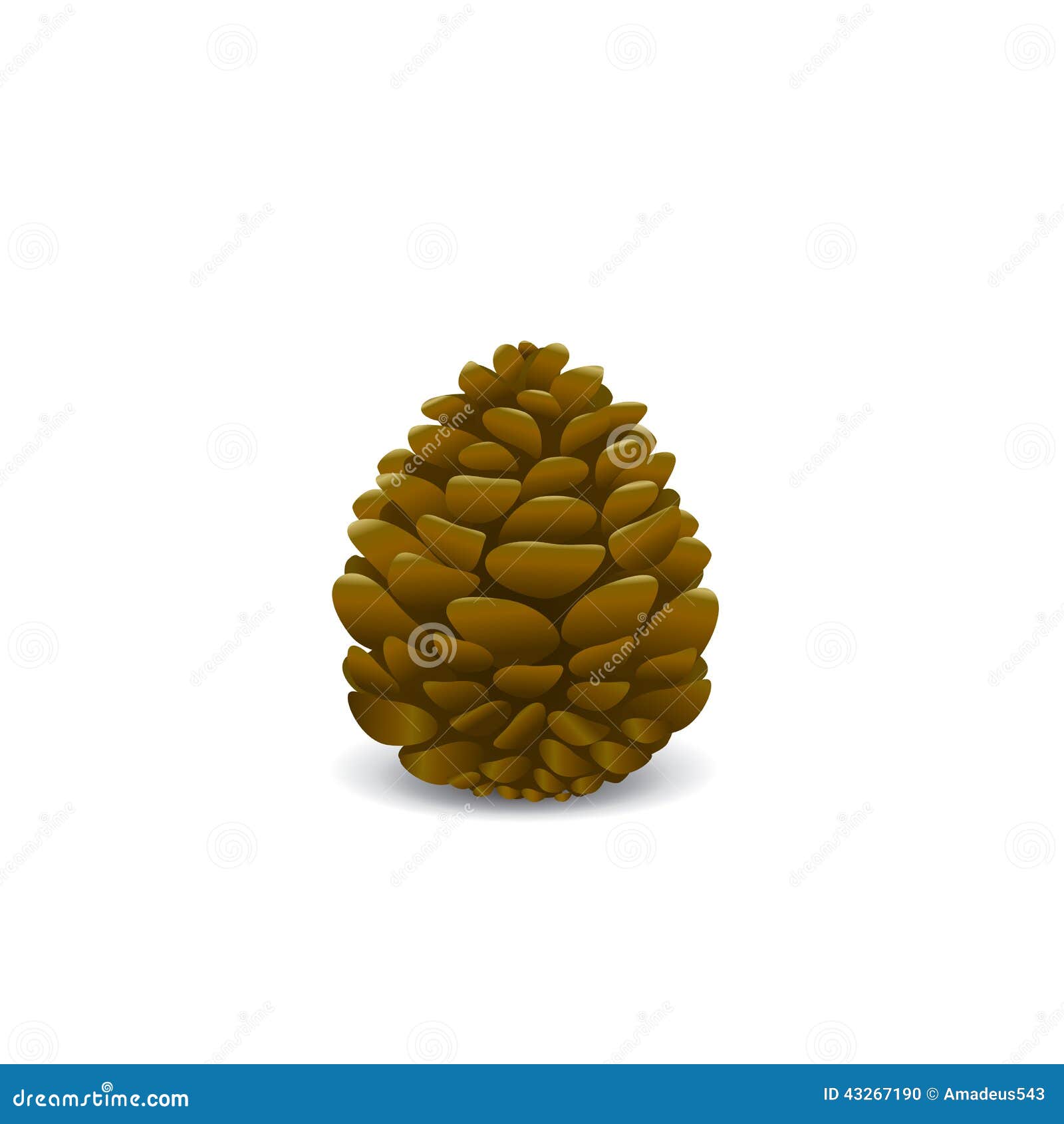 Pine cone vector stock vector. Illustration of spruce - 43267190