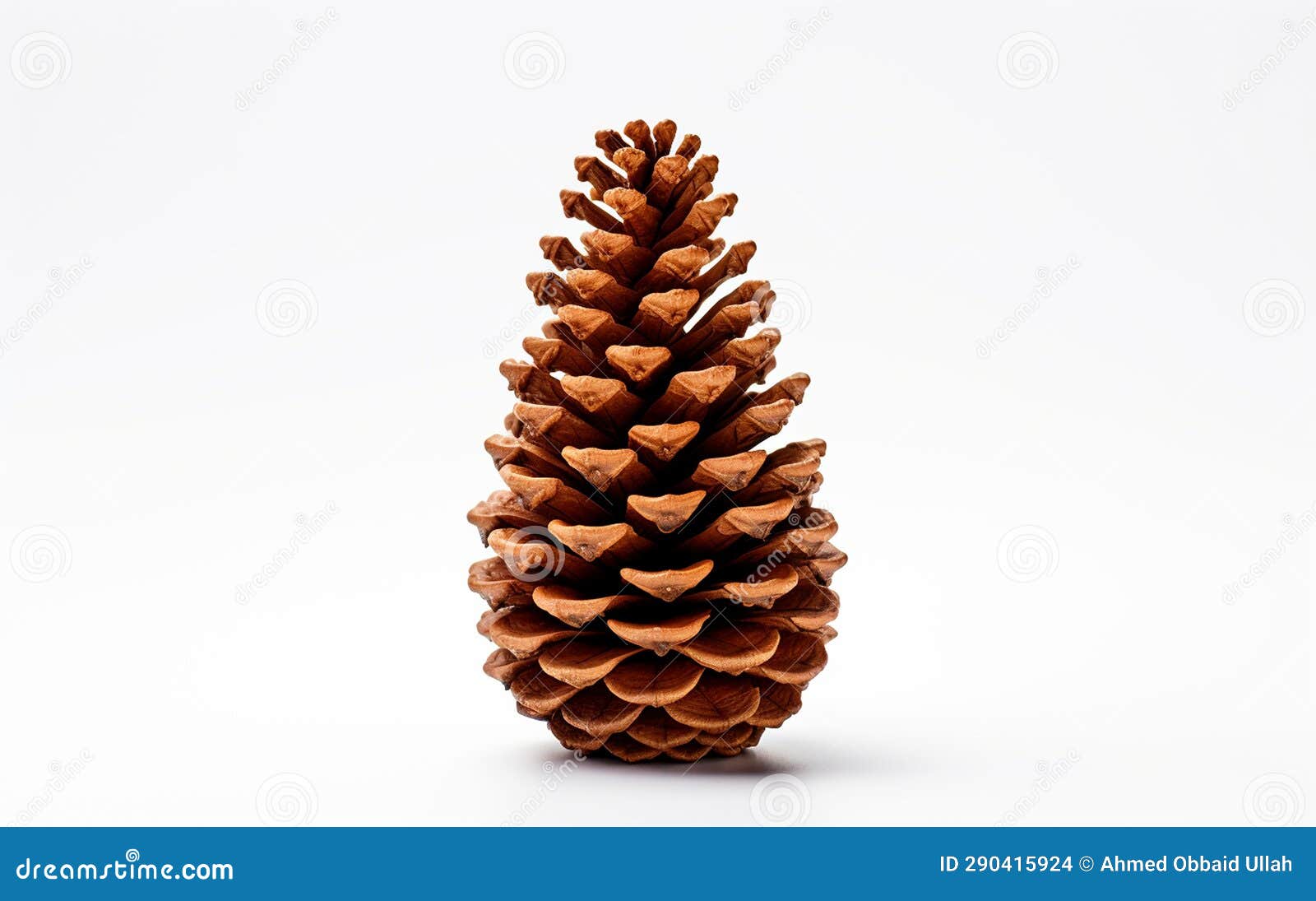 Pine Cone on a White Background. Generative by Ai Stock Photo - Image ...