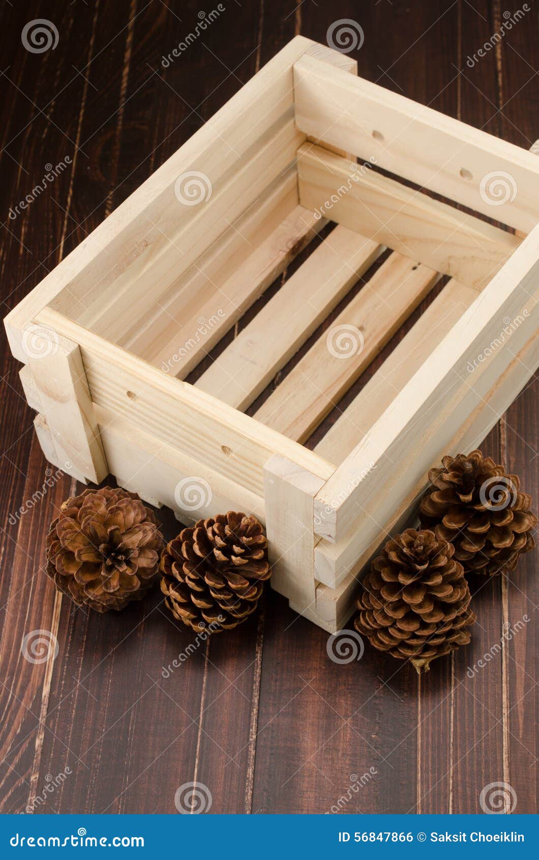 Pine cone in wooden box stock photo. Image of cone, container - 56847866