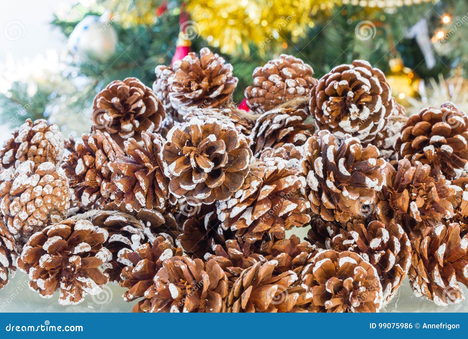 Cluster of Decorative Pine Cones Flecked with White Stock Photo - Image ...