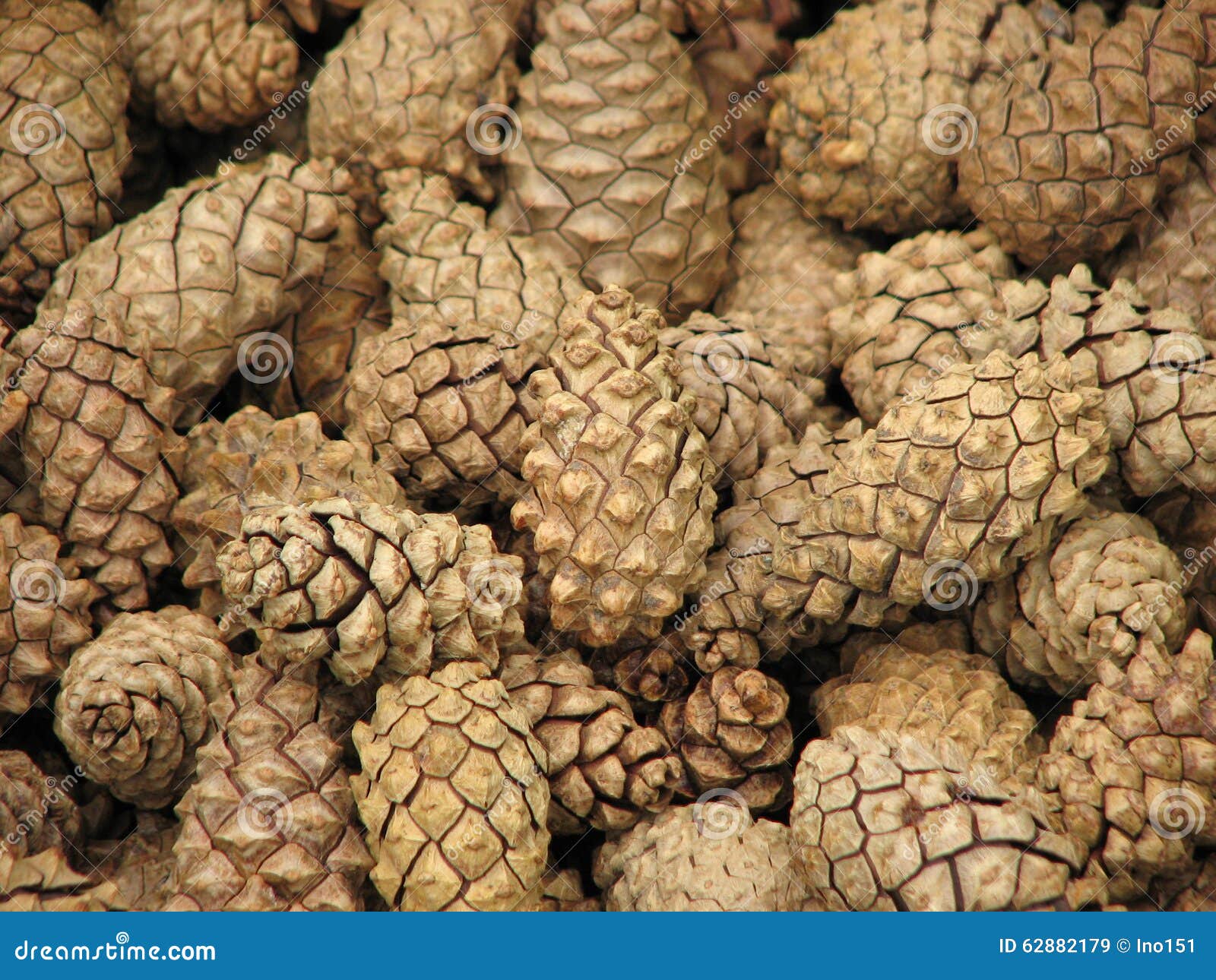 Pine Cones As a Background, Texture Stock Image - Image of diamond ...