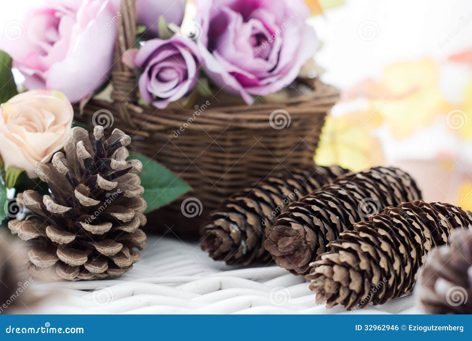 Pine Cones and Autumn Foliage Stock Photo - Image of garden, autumn ...