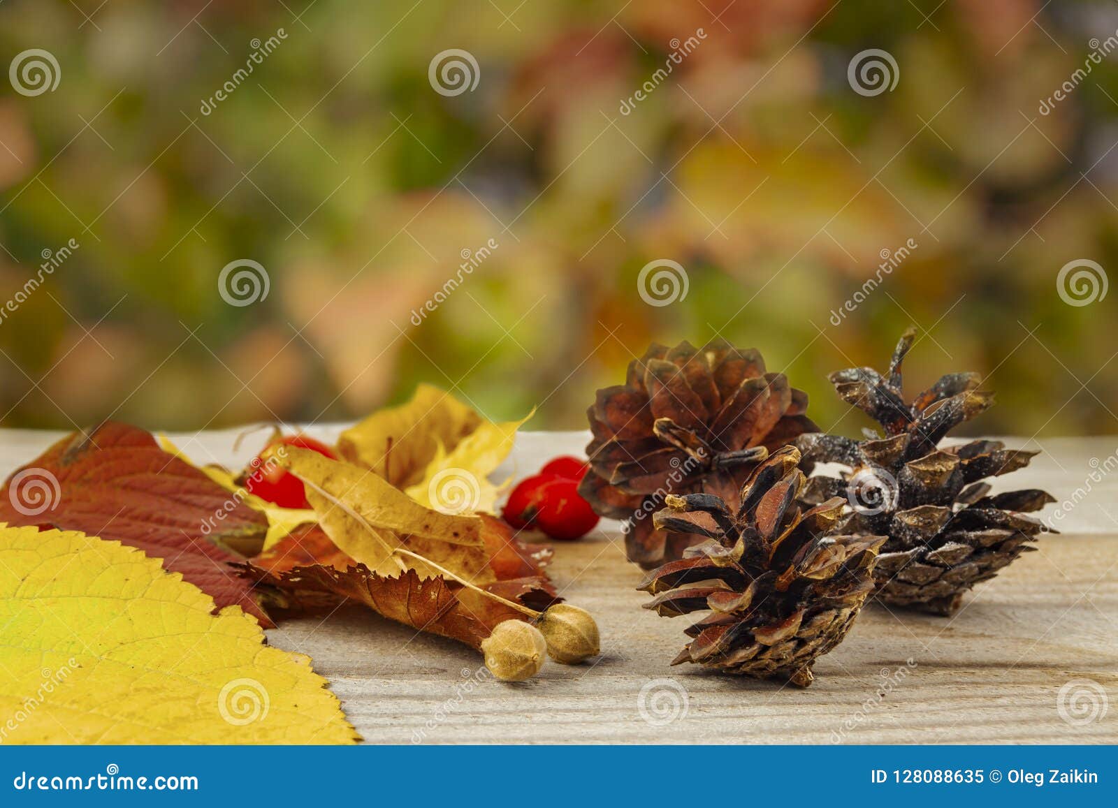 Pine Cones and Autumn Leaves on an Autumn Background Stock Image ...