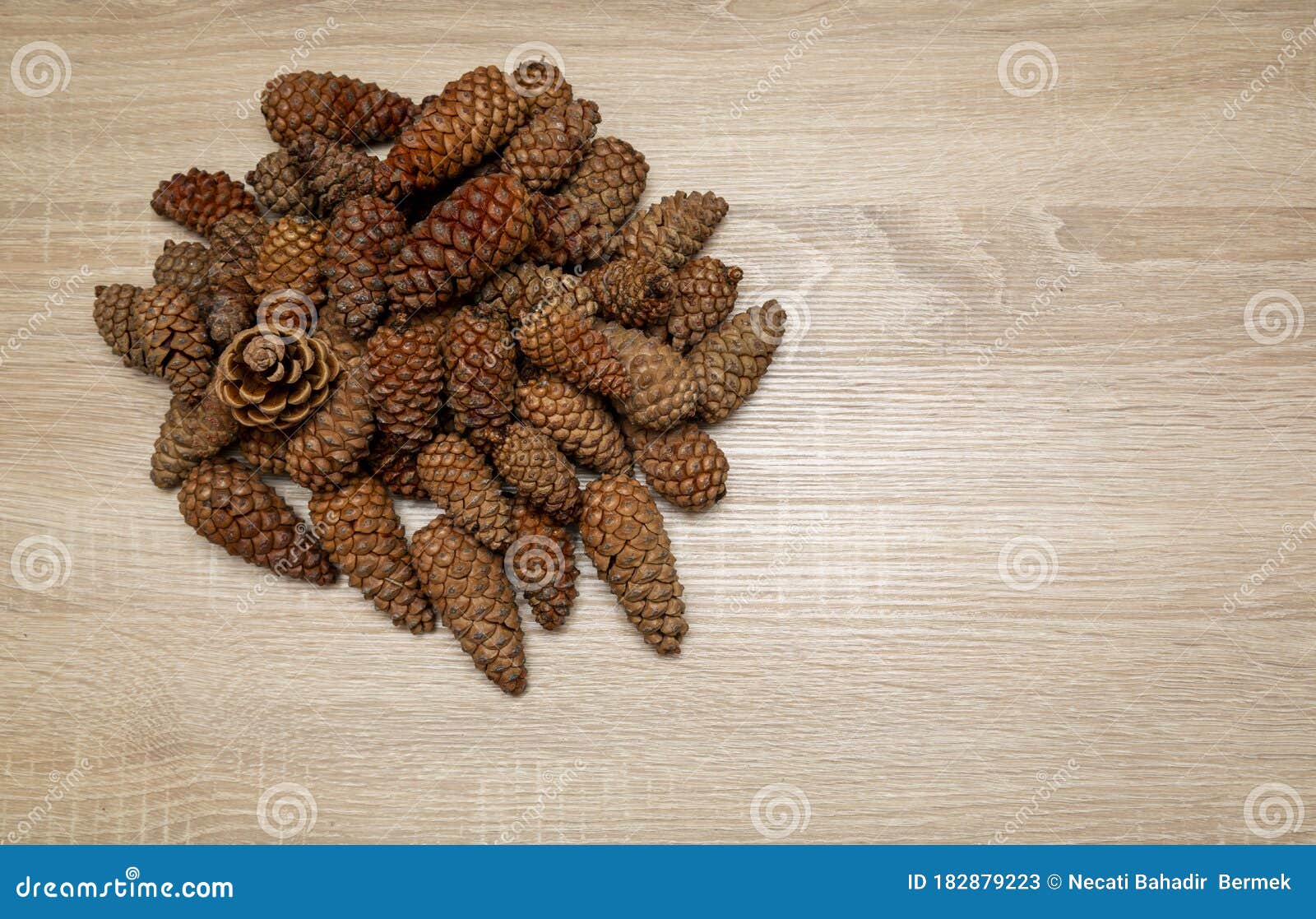 Pine cones background stock image. Image of view, beautiful - 182879223