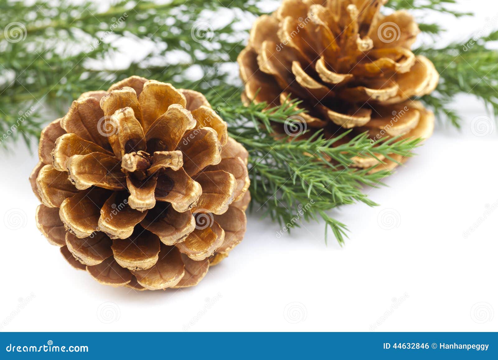 Pine cones stock photo. Image of evergreen, holiday, decorative - 44632846