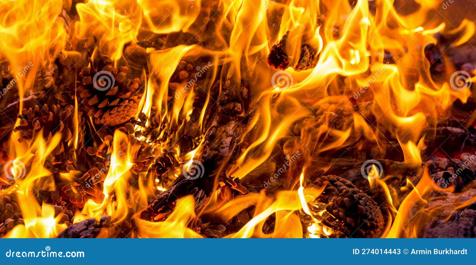Pine Cones Burn in a Brightly Blazing Fire Stock Image - Image of ...