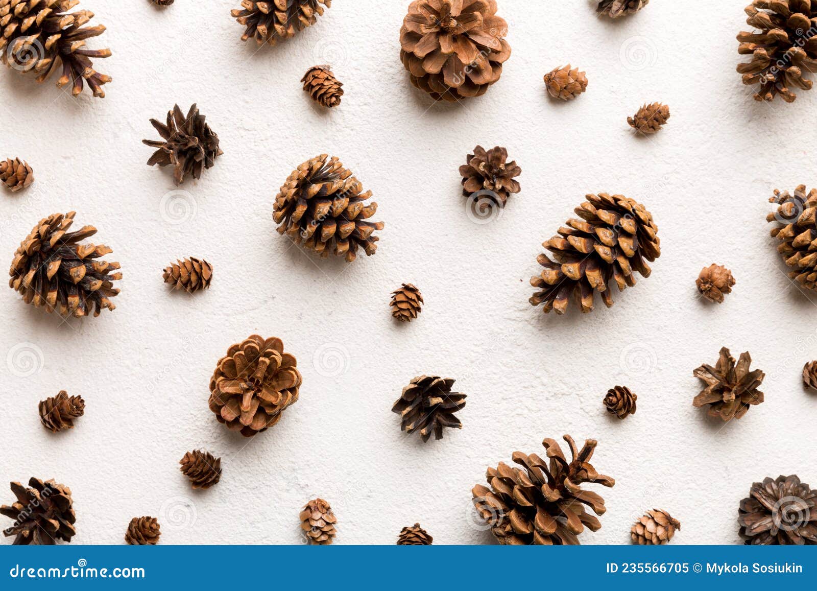 Pine Cones on Colored Table. Natural Holiday Background with Pinecones ...