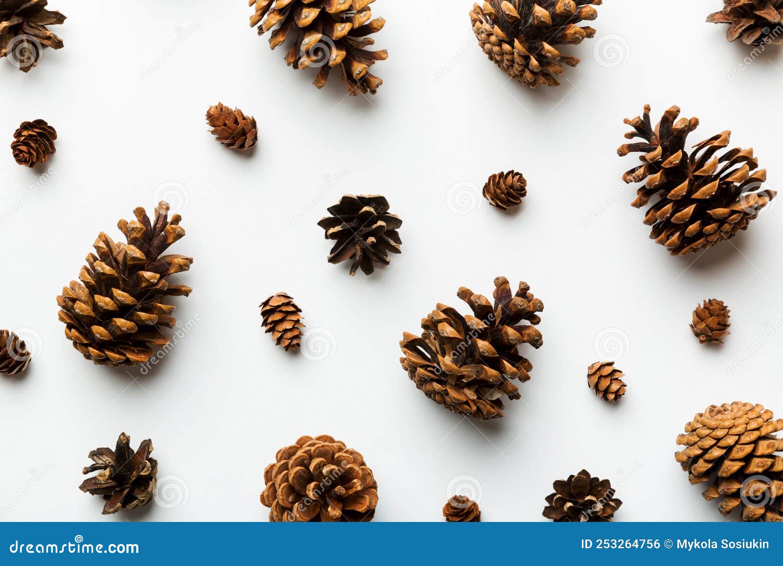Pine Cones on Colored Table. Natural Holiday Background with Pinecones ...