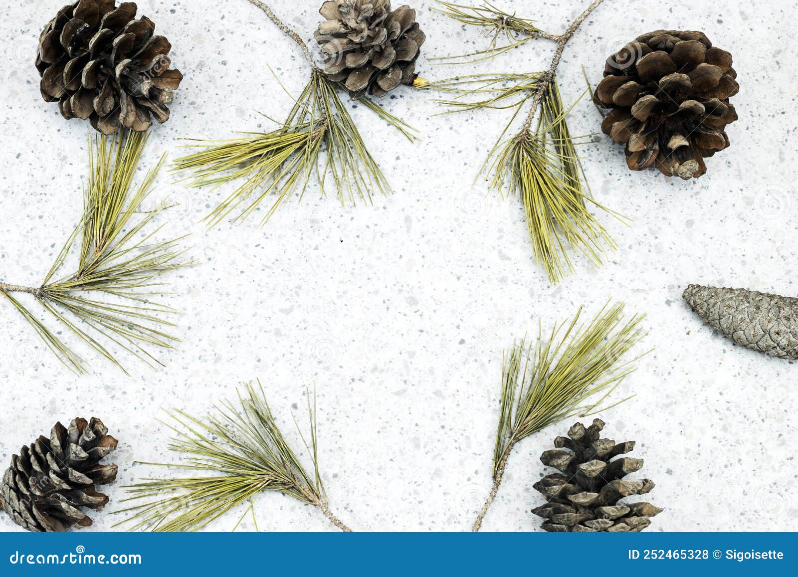 Pine Cones and Leaves with Copy Space for Your Text Stock Photo - Image ...