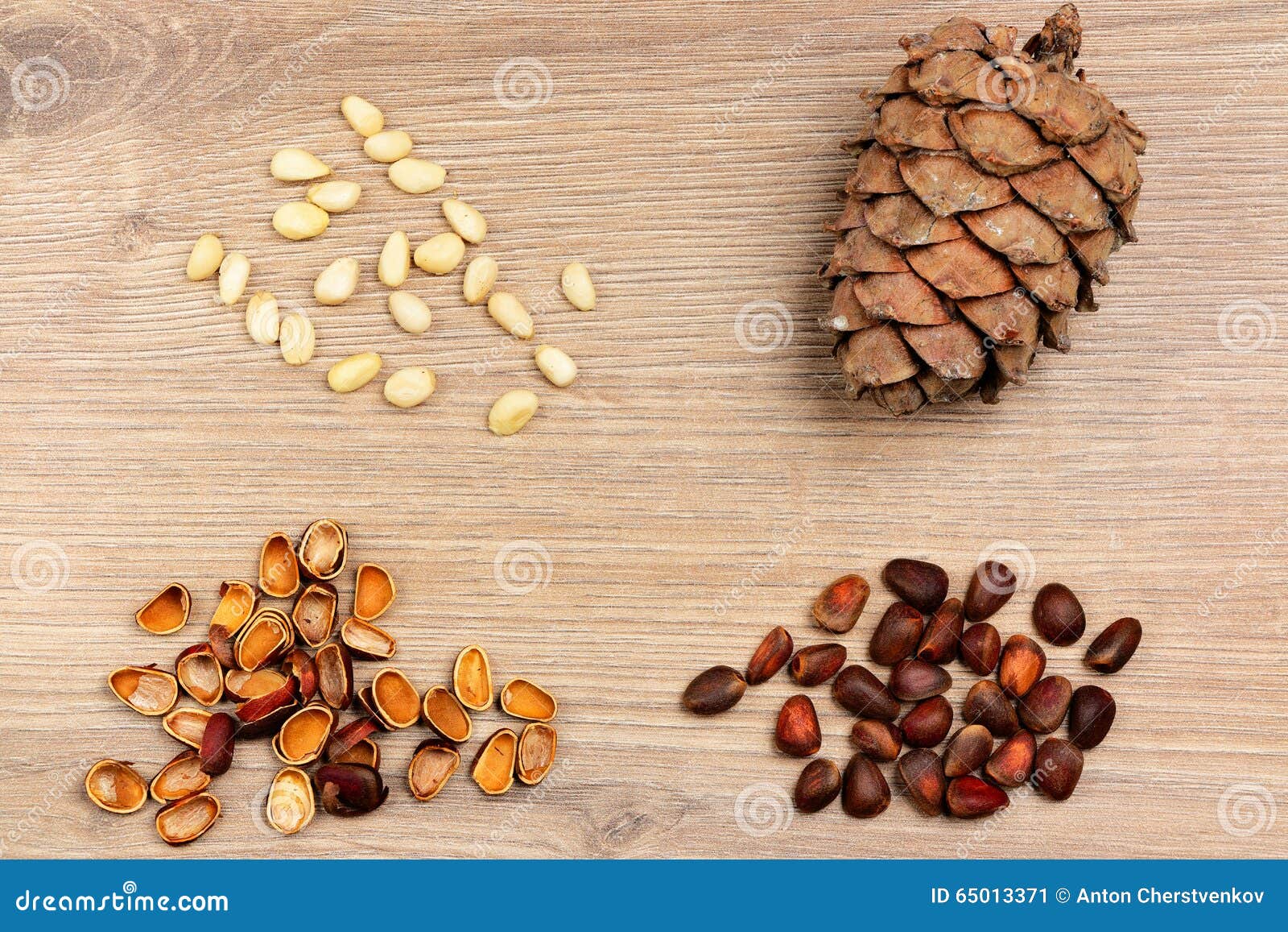 Pine Cones, Nuts and Shells Stock Image - Image of shell, shelled: 65013371