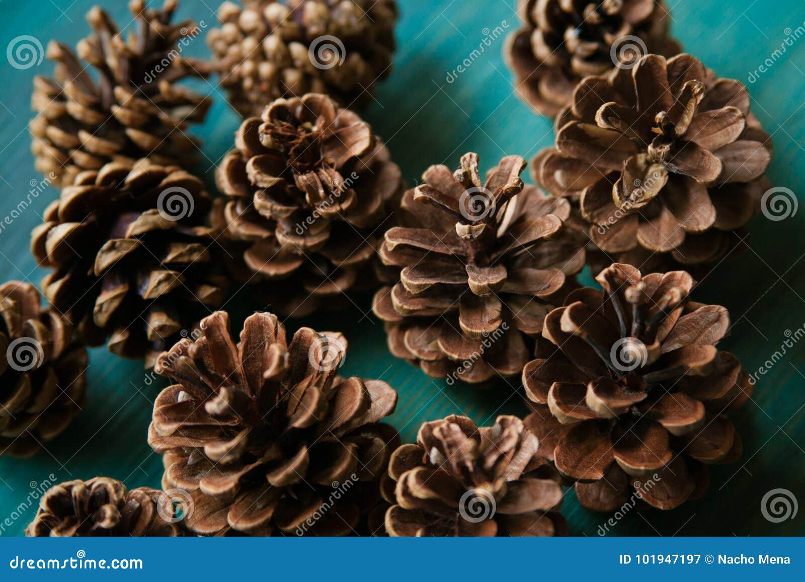 Pine Cones. Pine Cones Texture. Pine Cones Background Stock Image ...