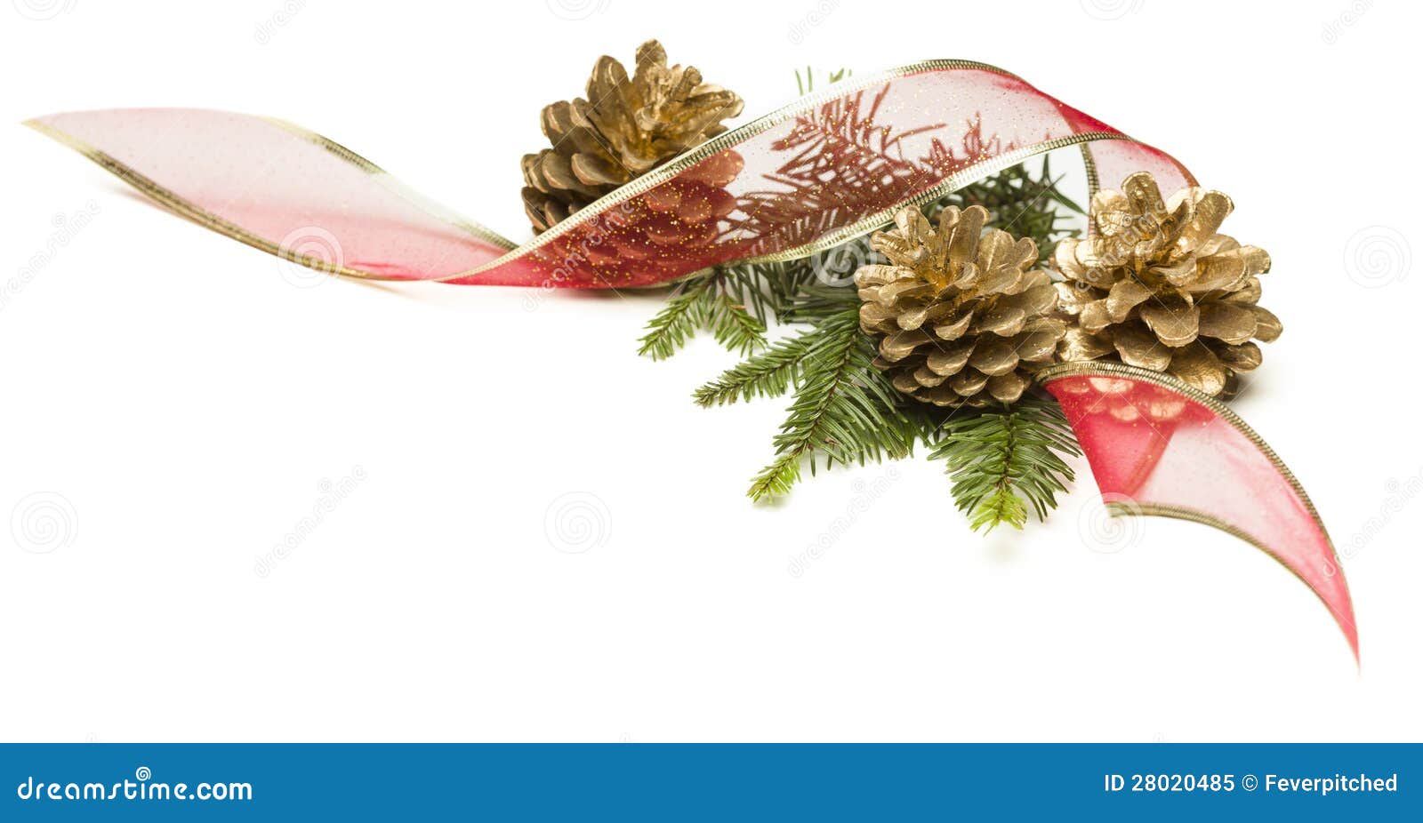 Pine Cones, Red Ribbon and Pine Branches Isolated on White Stock Image ...