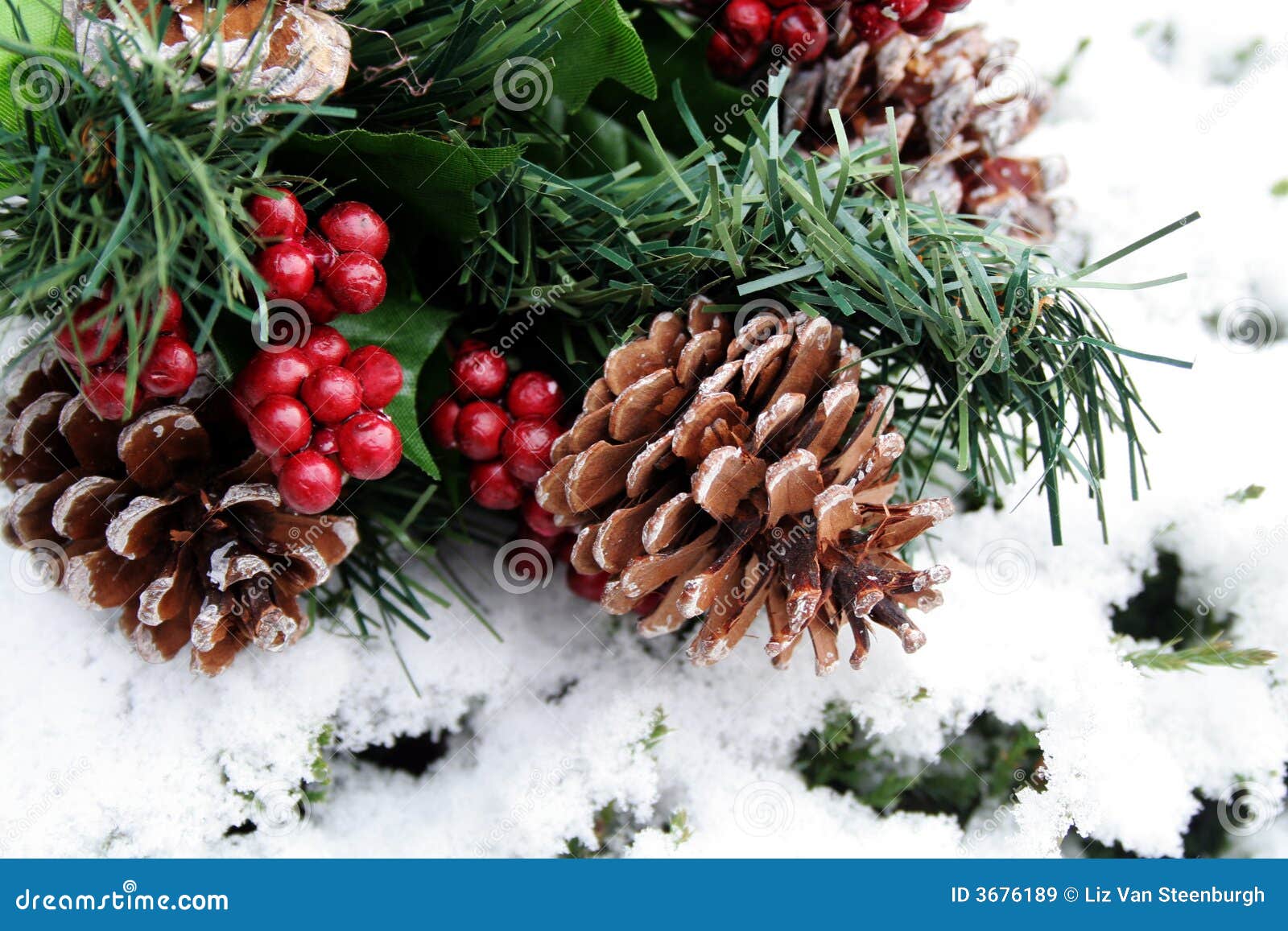 Pine Cones In Snow Royalty Free Stock Images - Image: 3676189
