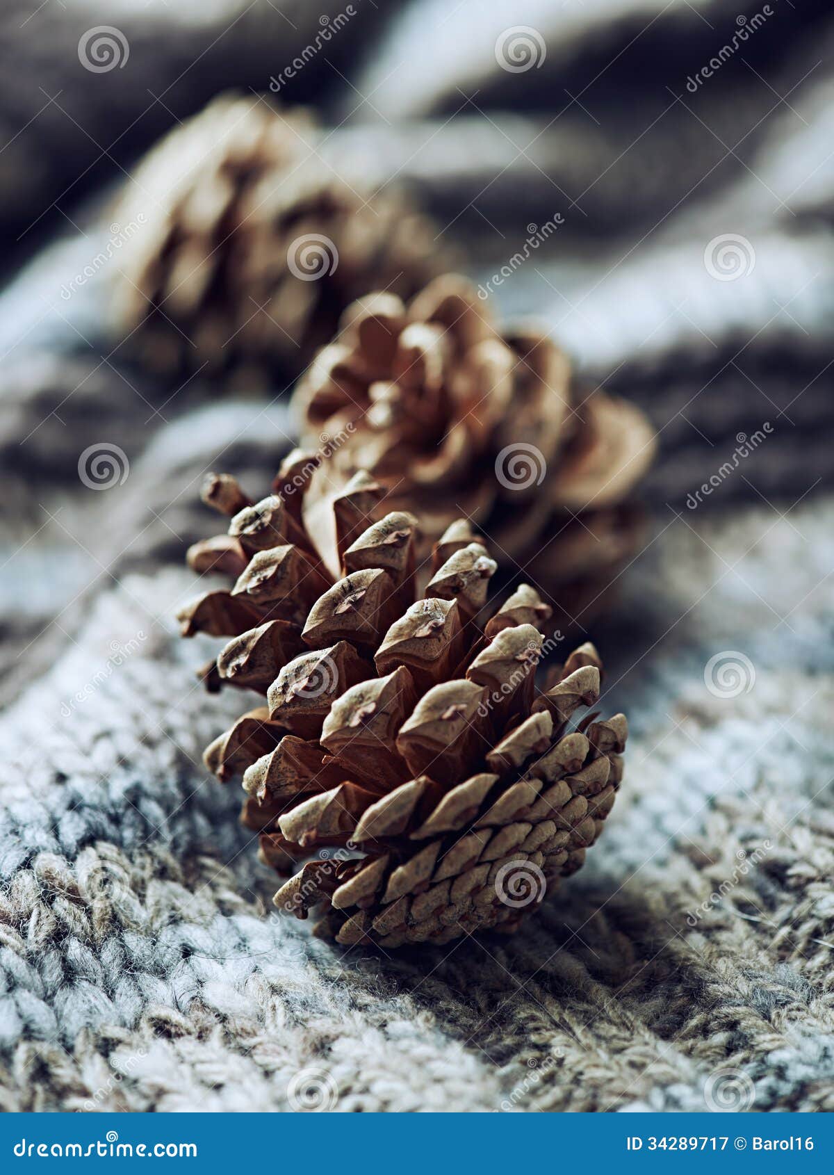 Pine Cones on a Woolen Fabric Stock Image - Image of natural, holidays ...