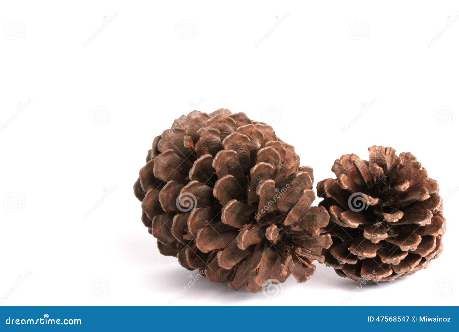 Royalty Free Images, Cartoons, Illustrations And Photos Designed By ...