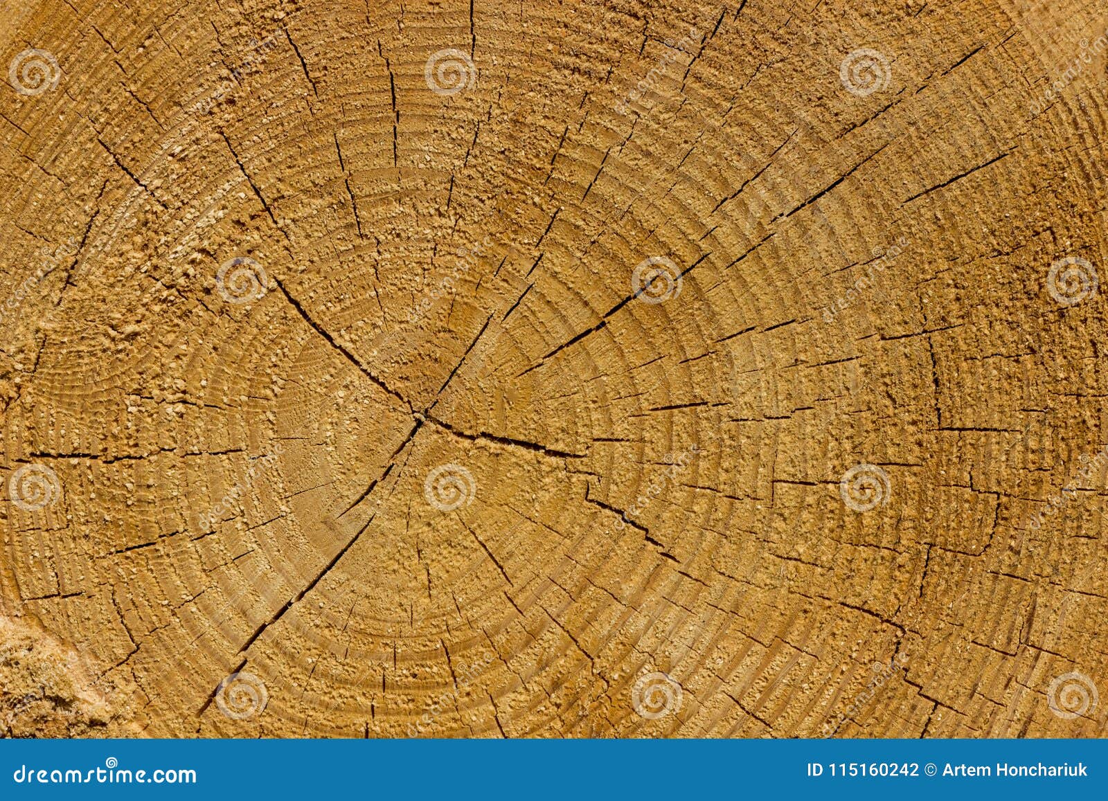 Ordinary Day. Lumber Worker In Wood. Spend Picnic Weekend In Forest ...