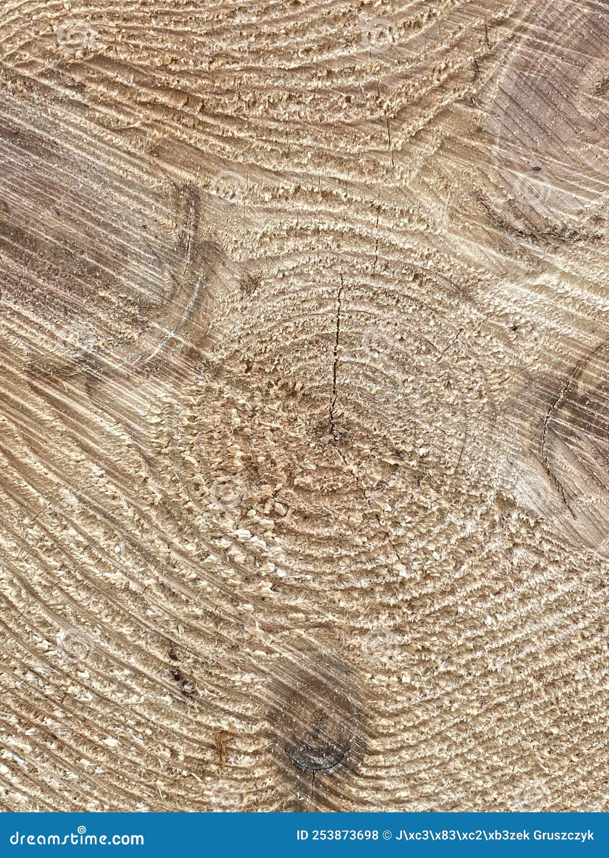 Pine Cut Visible Round Rings Stock Photo - Image of material, design ...