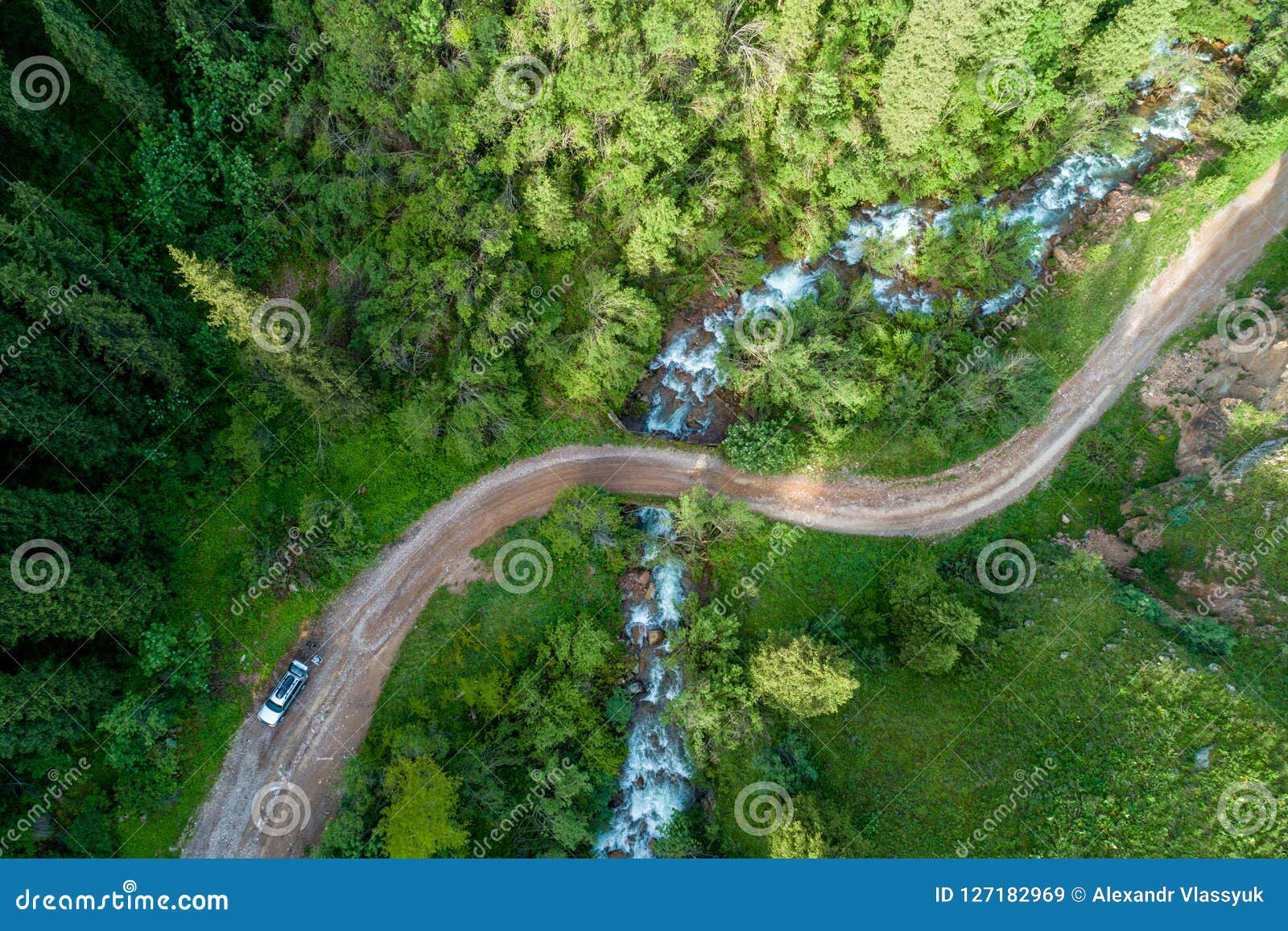 Pine Forest from Above, Spring Season, Forest Road and River Stock ...