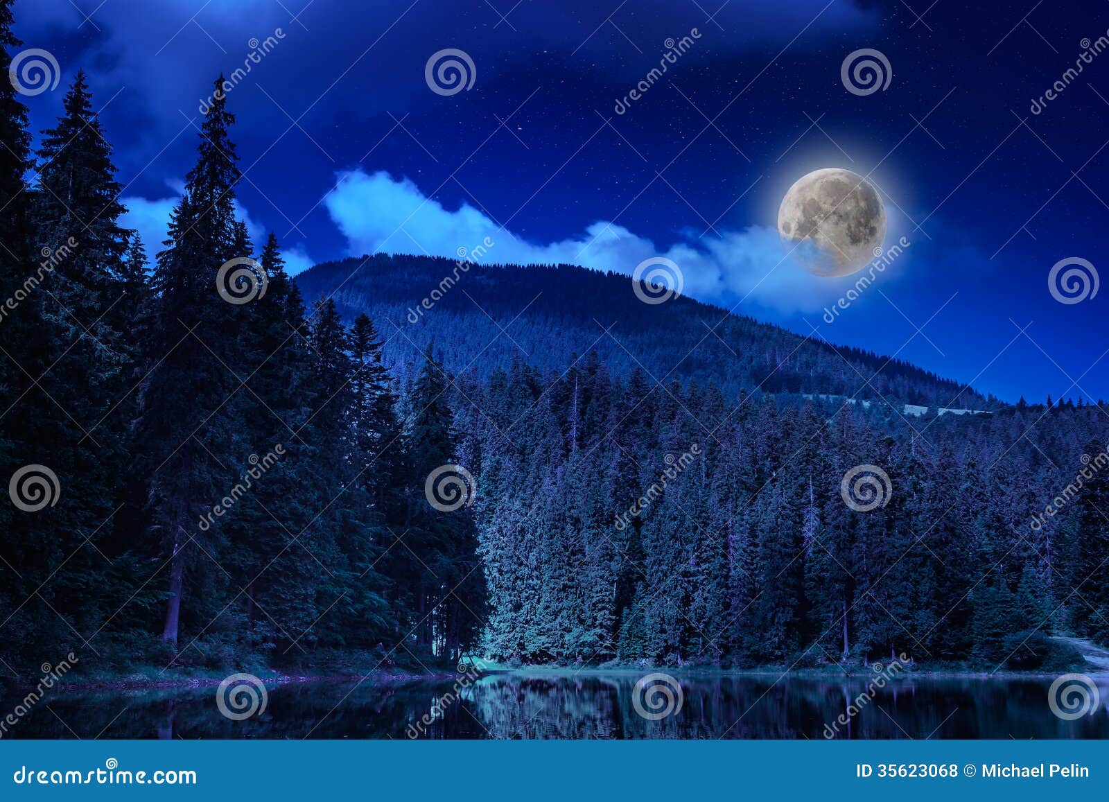 Pine Forest and Lake Near the Mountain Stock Photo - Image of summer ...
