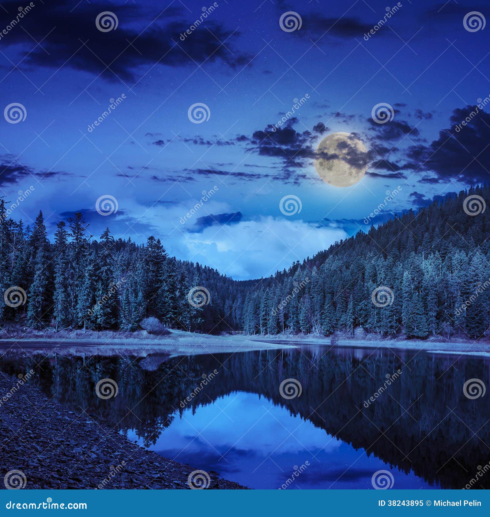 Pine Forest and Lake Near the Mountain at Night Stock Image - Image of ...