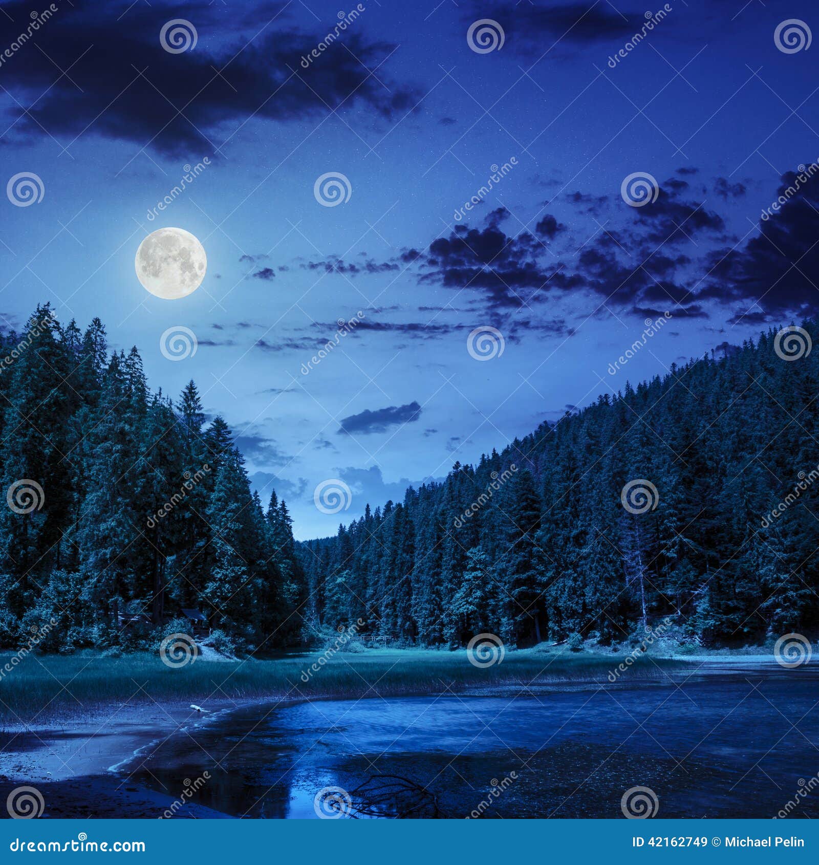 Pine Forest and Lake Near the Mountain at Night Stock Image - Image of ...