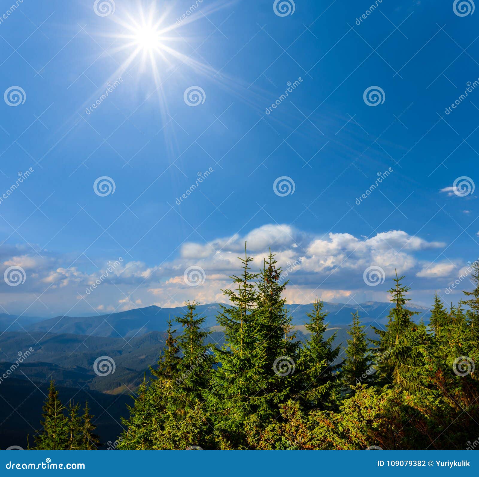Pine Forest on a Mount Slope, Natural Landscape Stock Photo - Image of ...