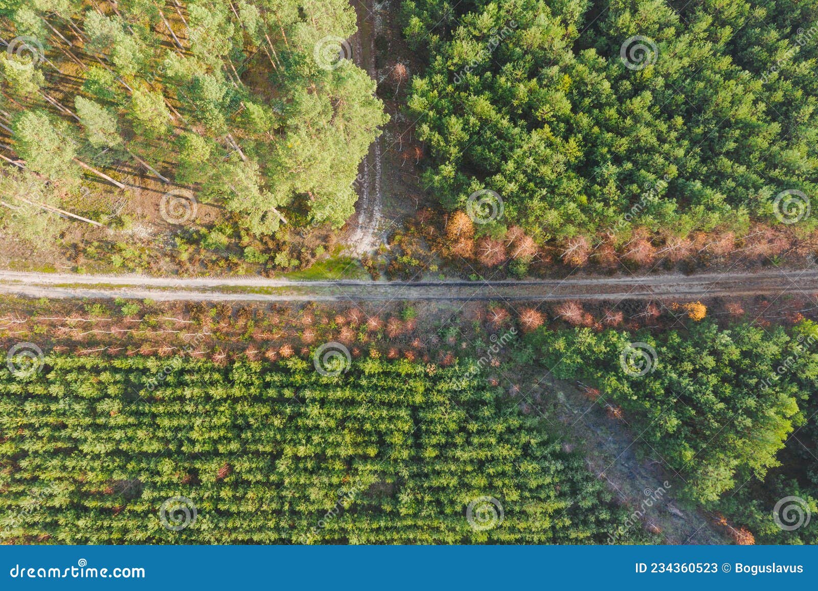 The Intersection of Forest Roads. View from the Drone. Stock Image ...
