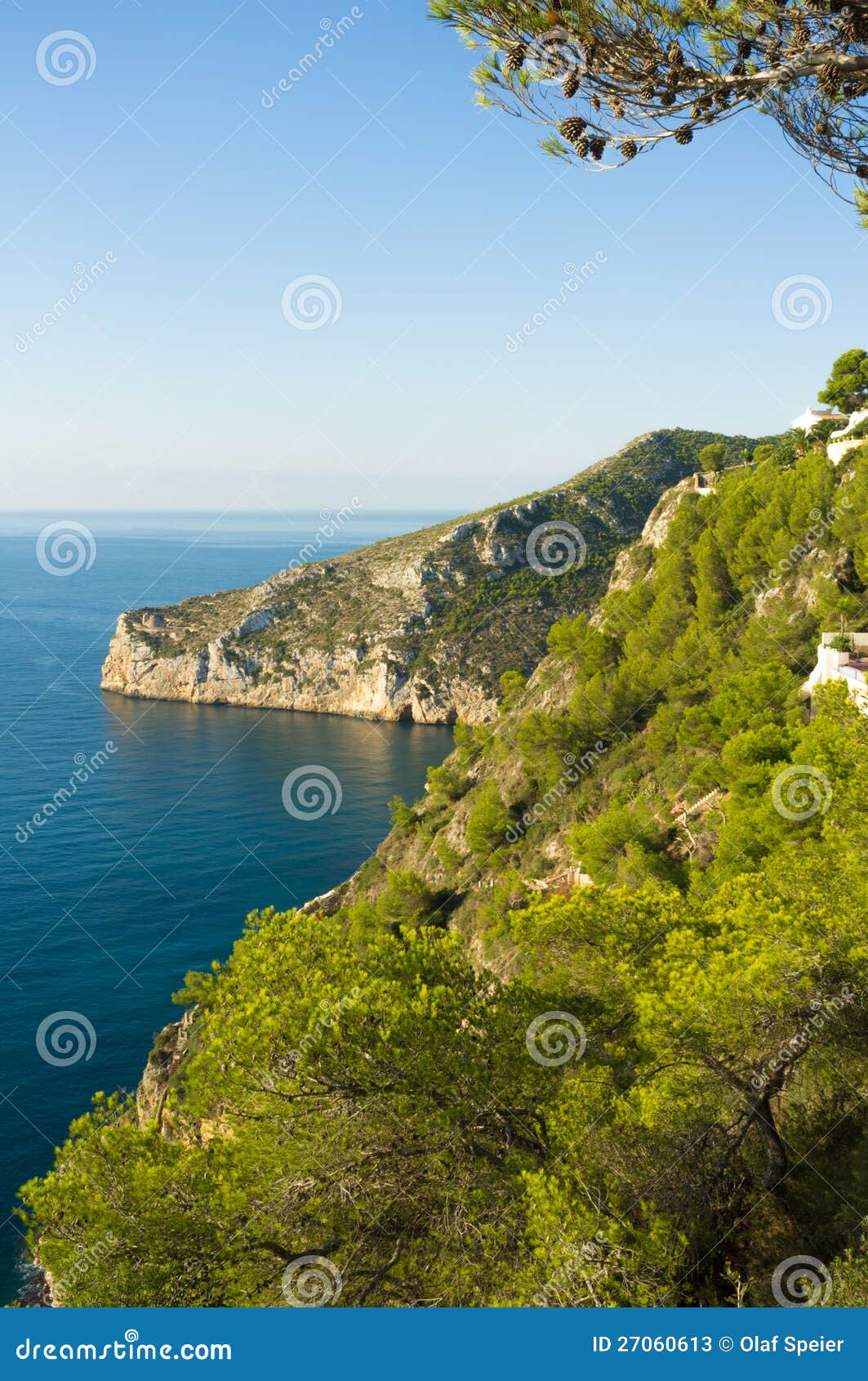 Pine forested coast stock image. Image of summer, sunny - 27060613