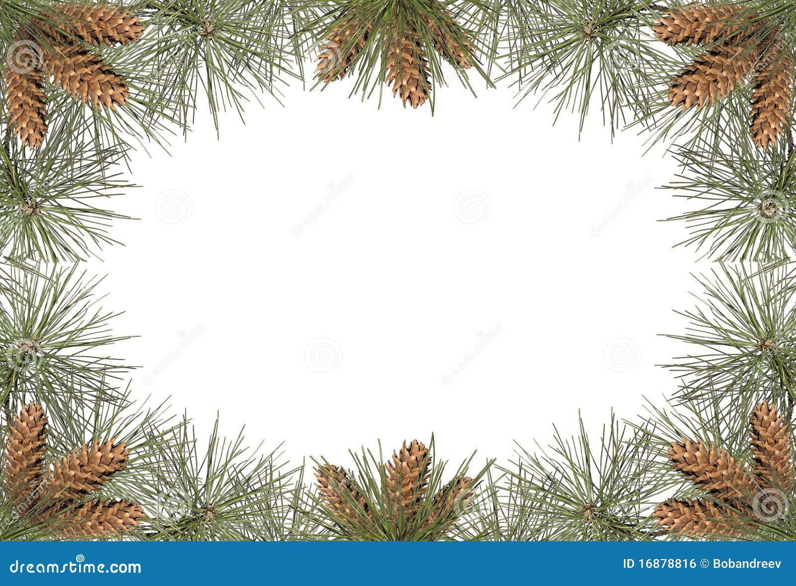 Pine Frame Royalty Free Stock Image - Image: 16878816