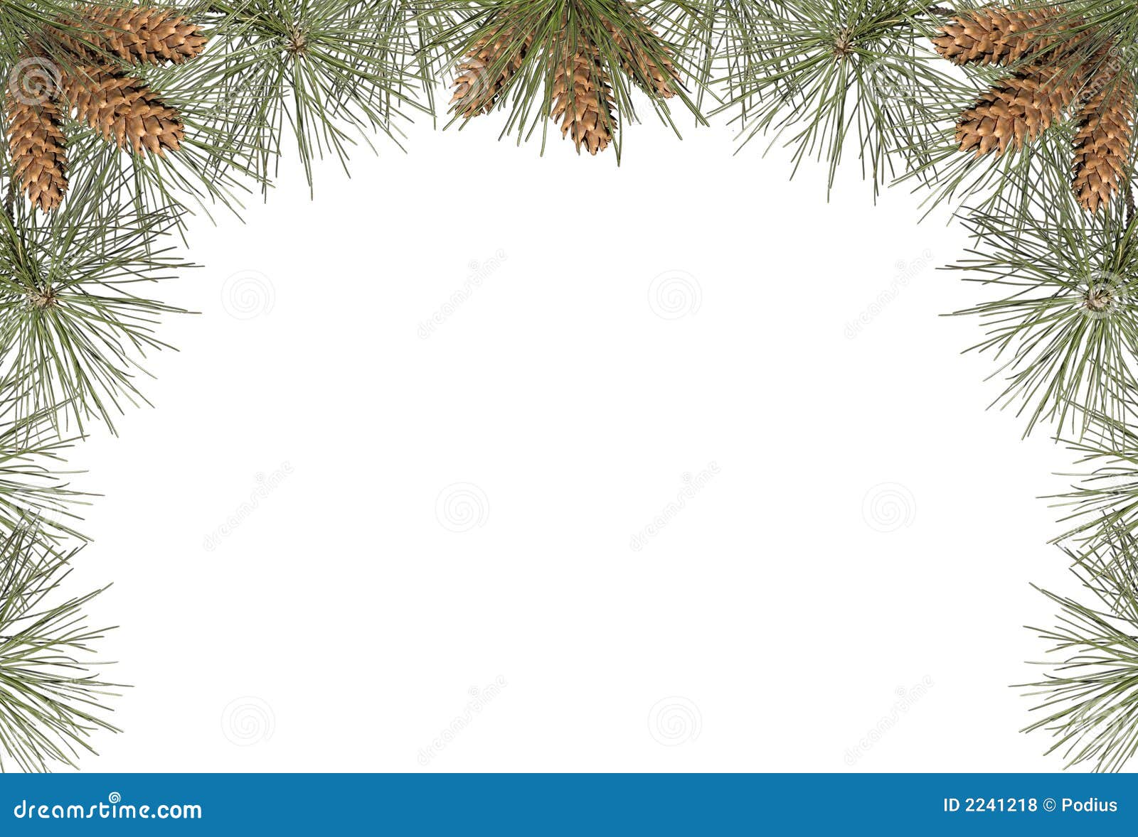 Pine Frame stock photo. Image of holiday, procreate, holidays - 2241218