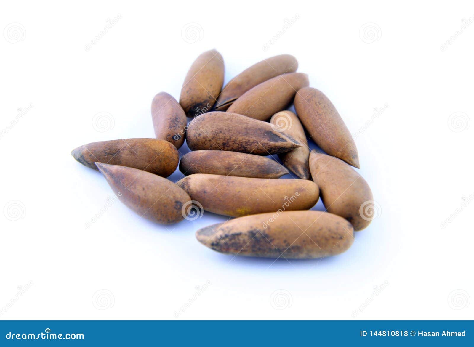 Pine grain isolated stock photo. Image of bone, lush - 144810818